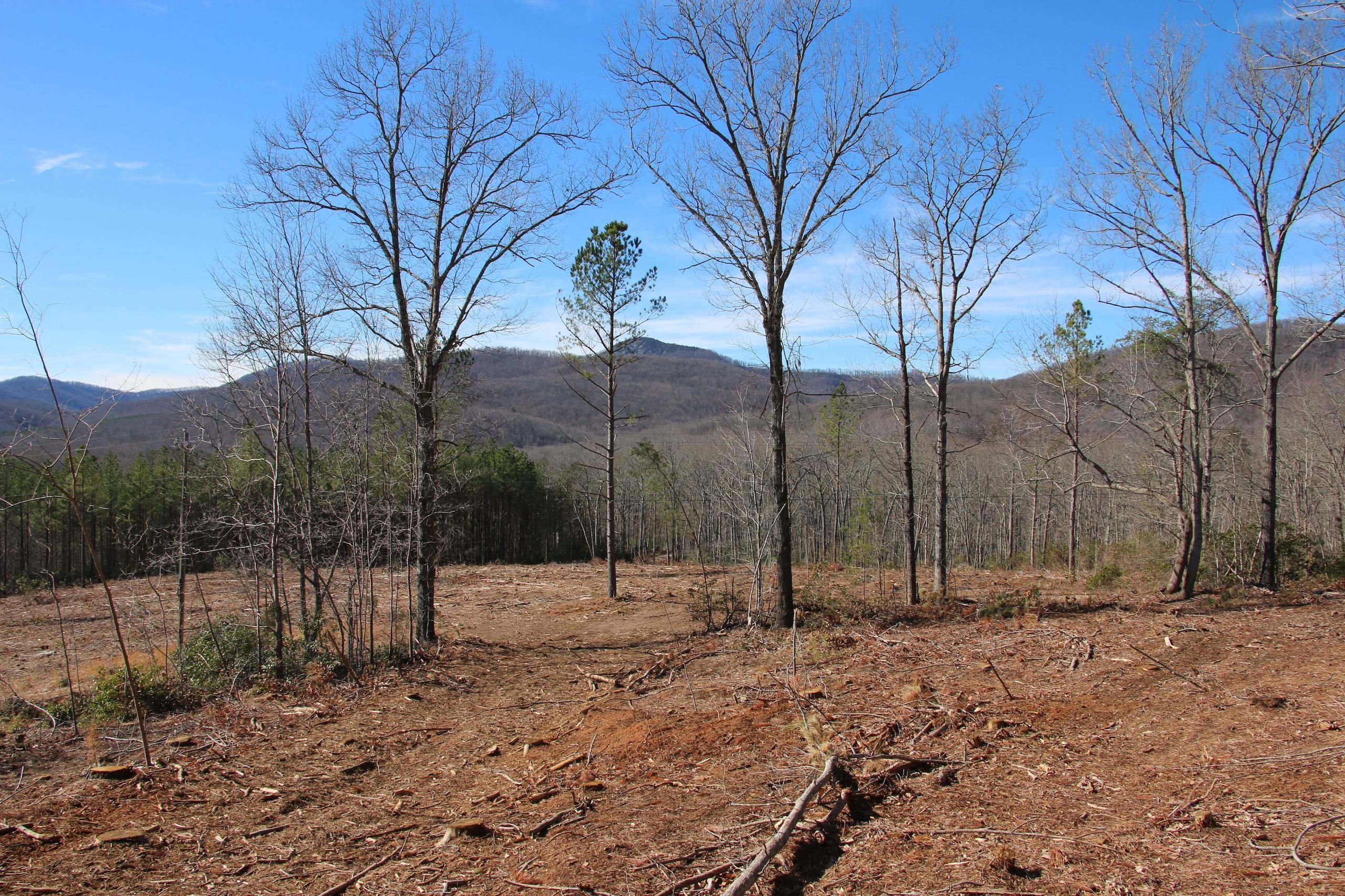 Shipman, Nelson County, VA Recreational Property, Undeveloped Land ...