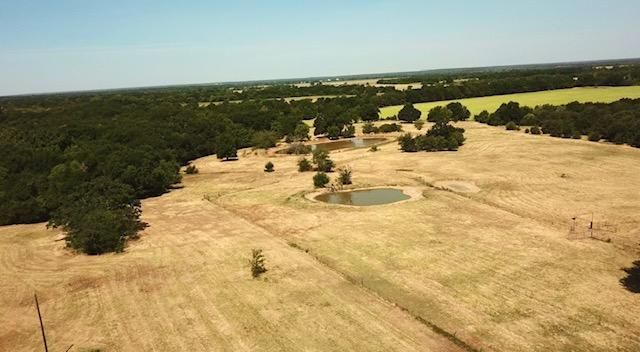 256 acres in Ivanhoe, TX, 75447 | LandWatch