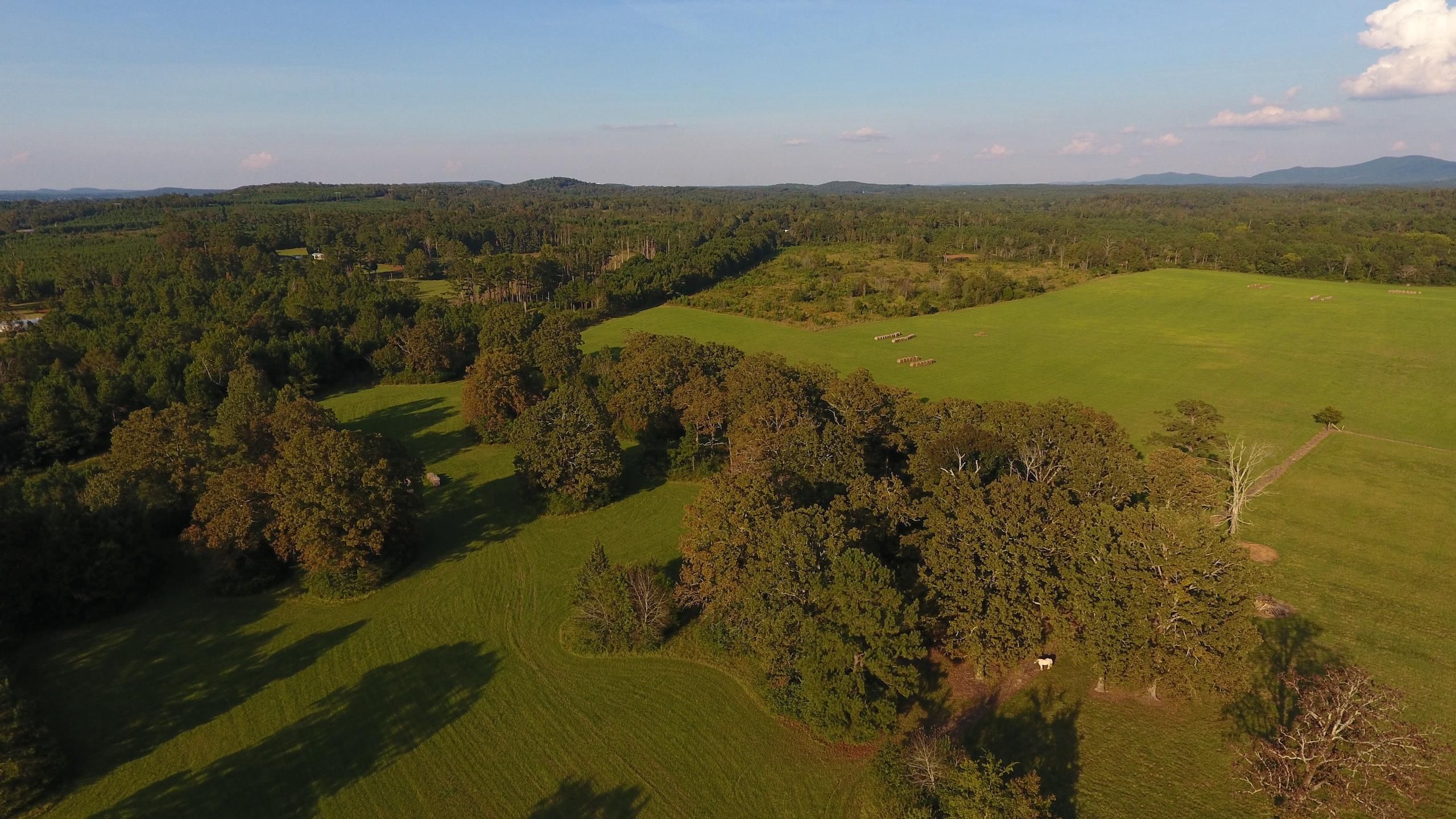 Renfroe Road, Lot#WP01, Alpine, AL 35014 | LandWatch