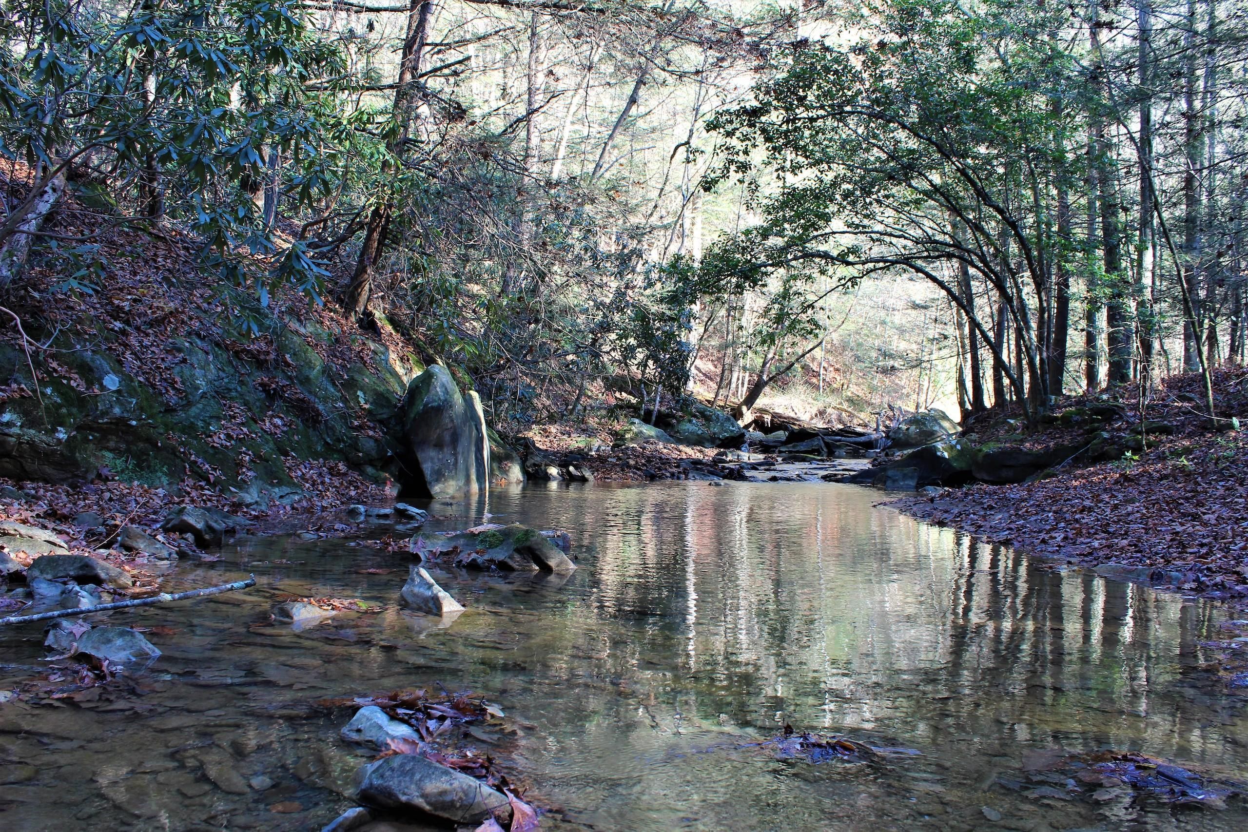 Saylor Branch Road Lot #Wp001, Helton, KY 40840 | LandWatch