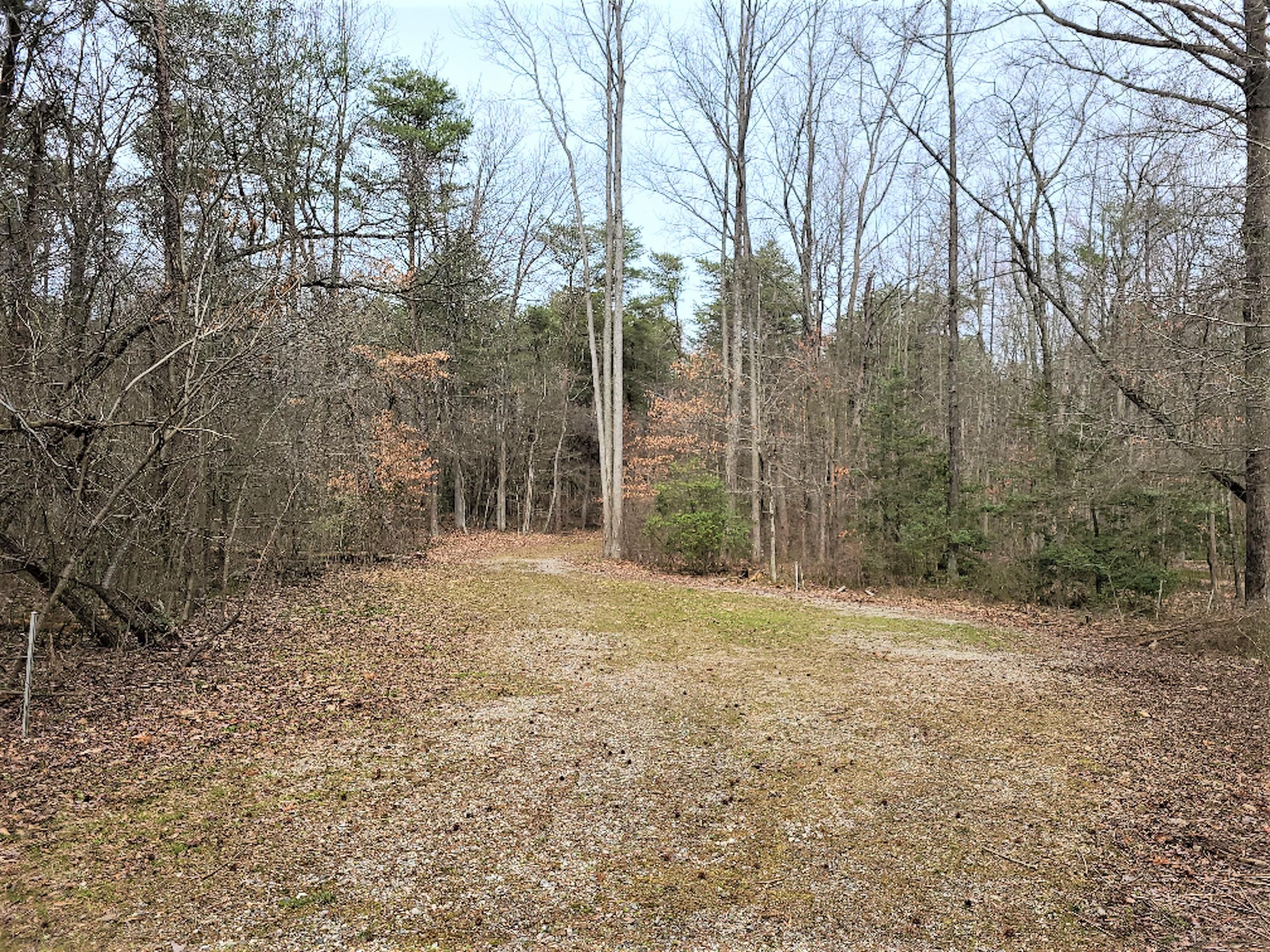 Marydel, Caroline County, MD Recreational Property, Hunting Property ...
