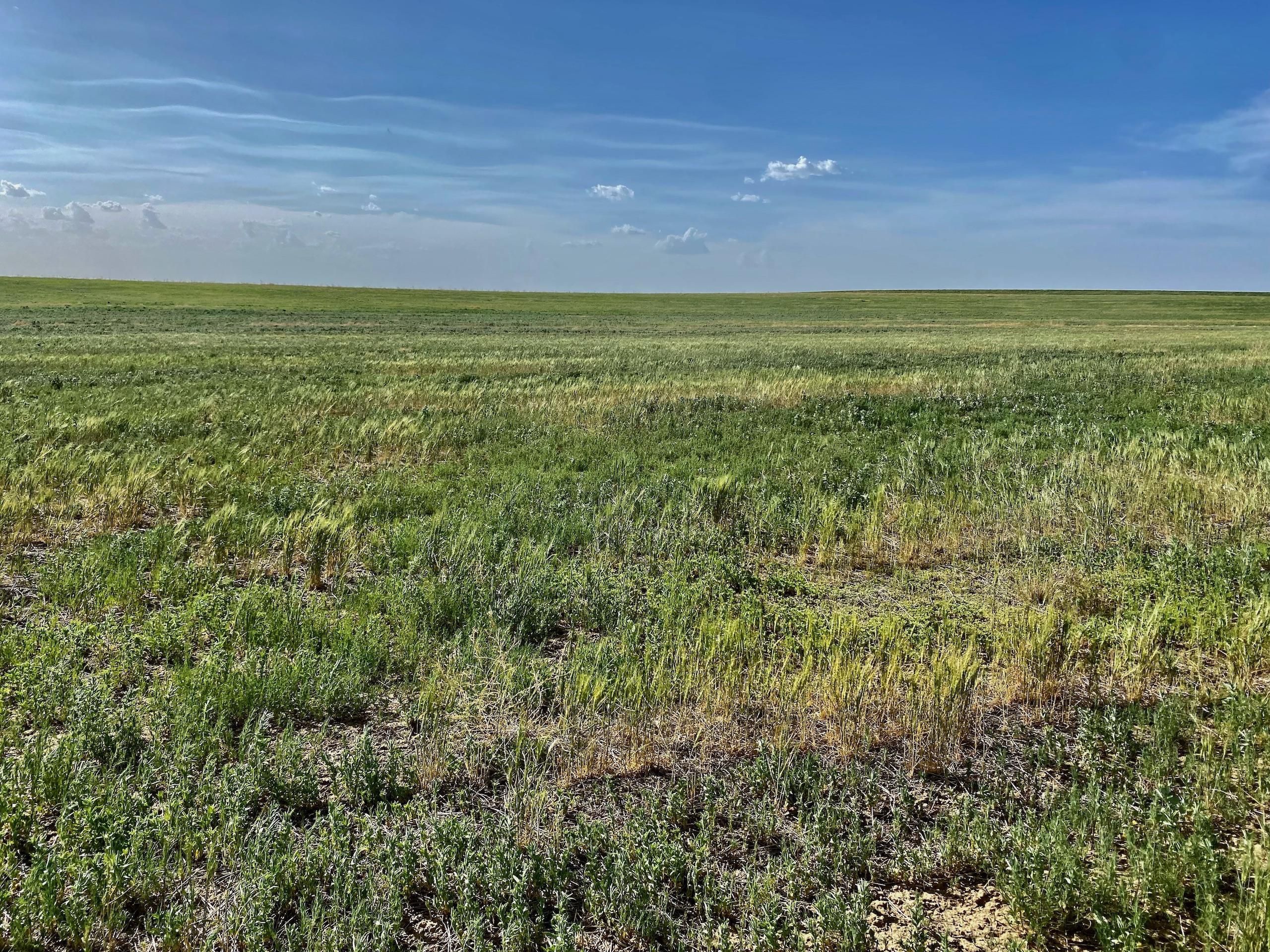 Lindon, Washington County, CO Farms and Ranches, Recreational Property ...