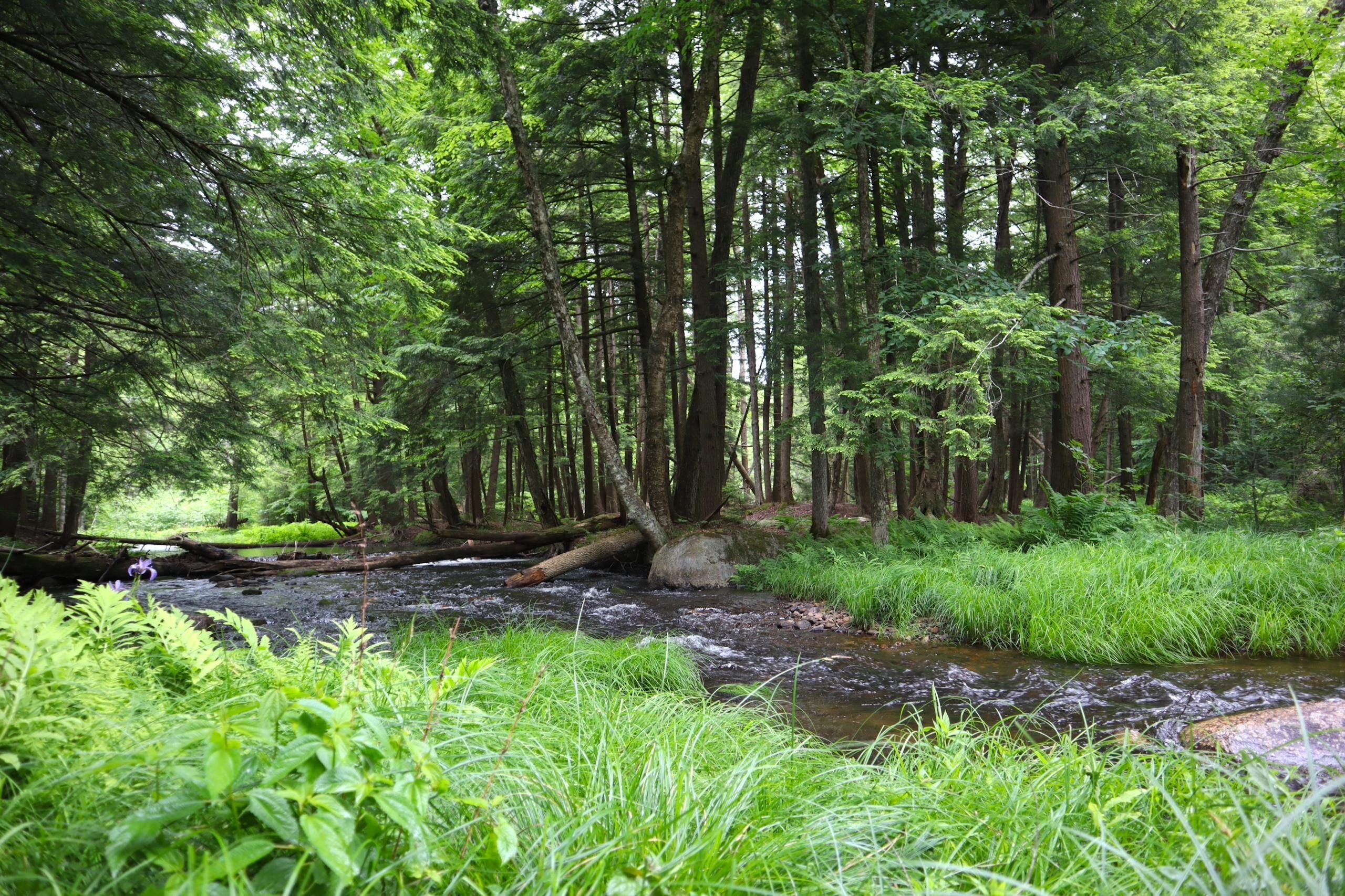 Garoga, Fulton County, NY Recreational Property, Timberland Property ...