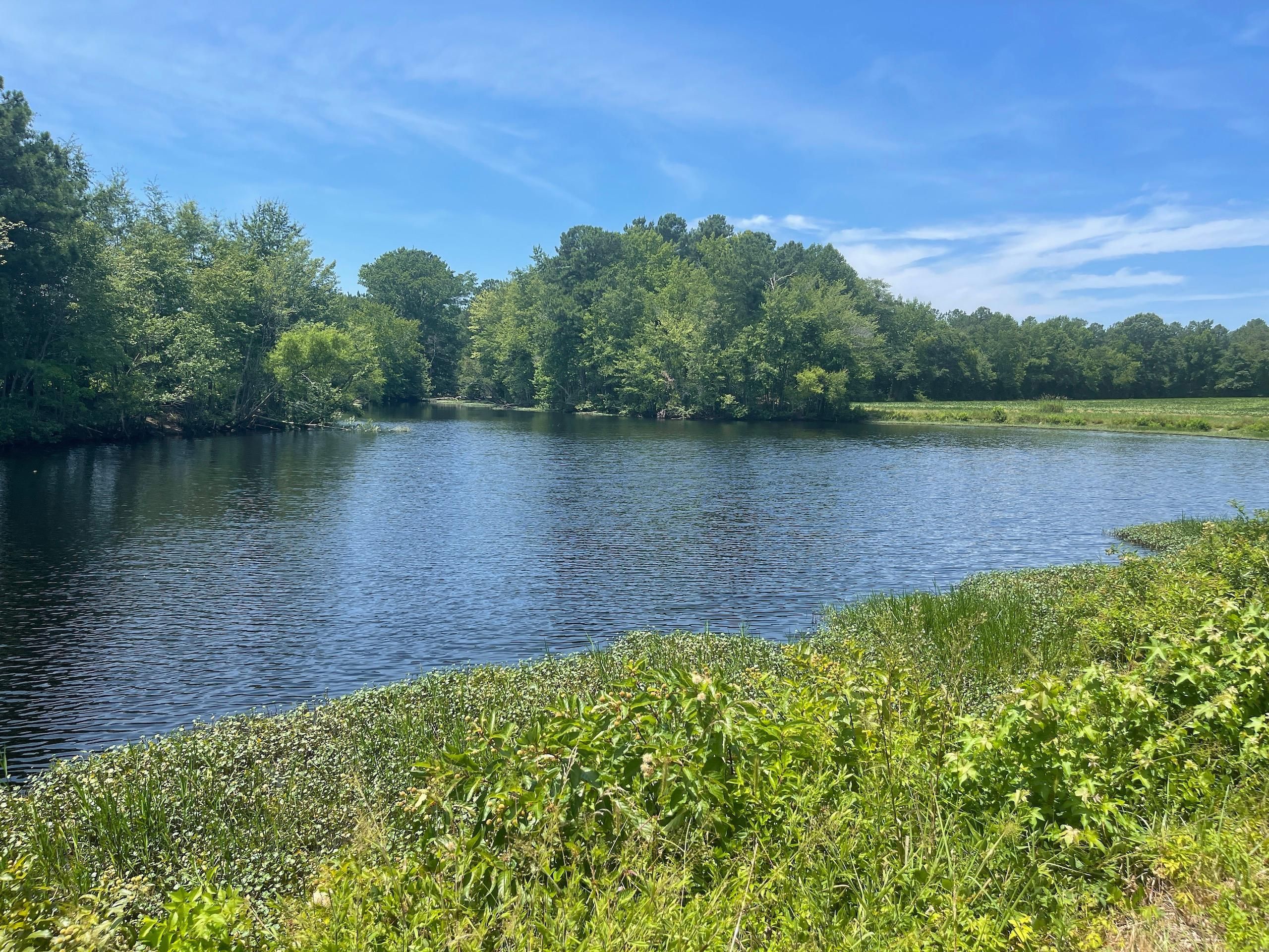 Rocky Mount, Nash County, NC Recreational Property, Timberland Property ...