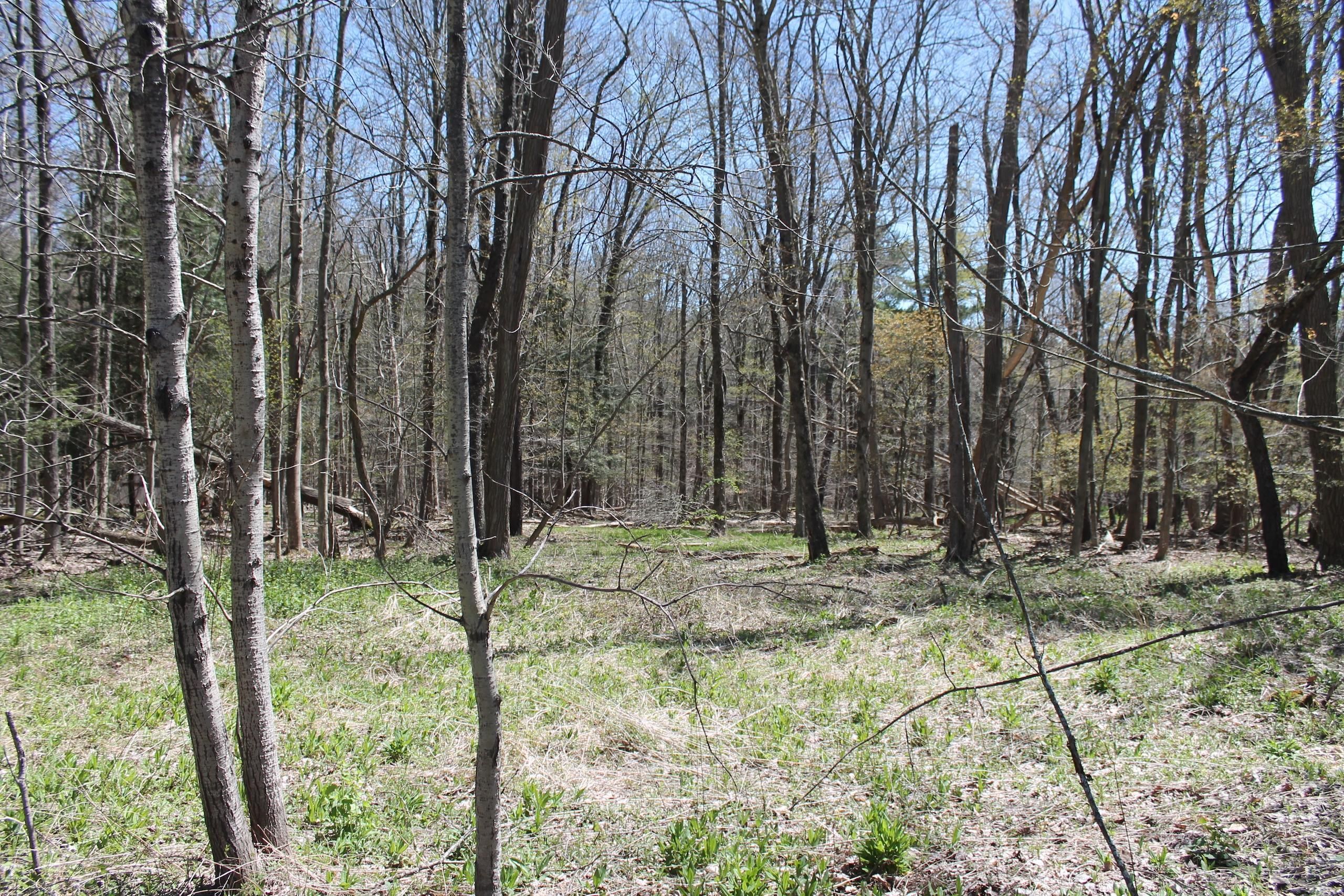 State Route 167, Lot#WP001, Brackney, PA 18812 | LandWatch