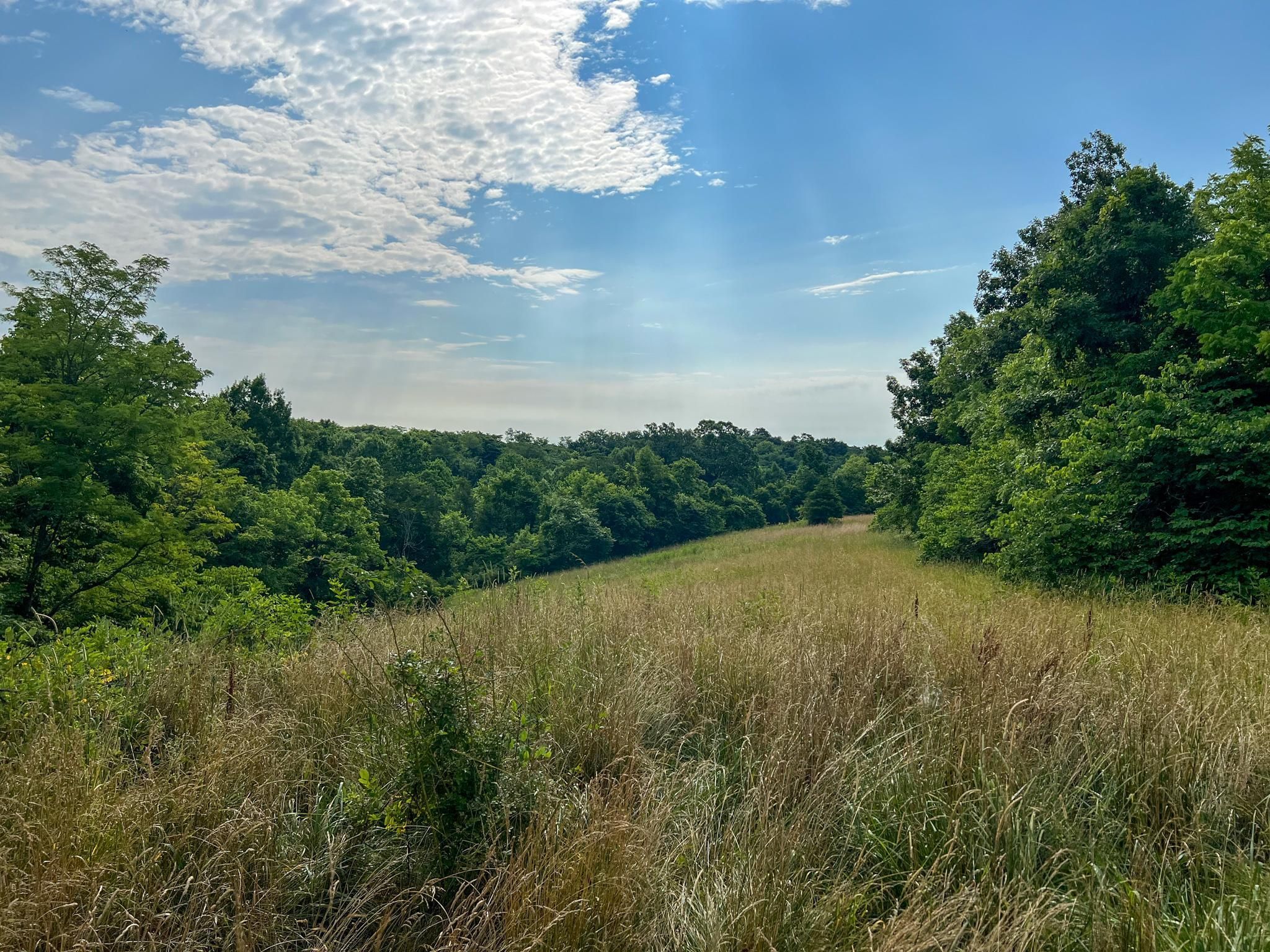 Frankfort, Franklin County, KY Recreational Property, Timberland ...