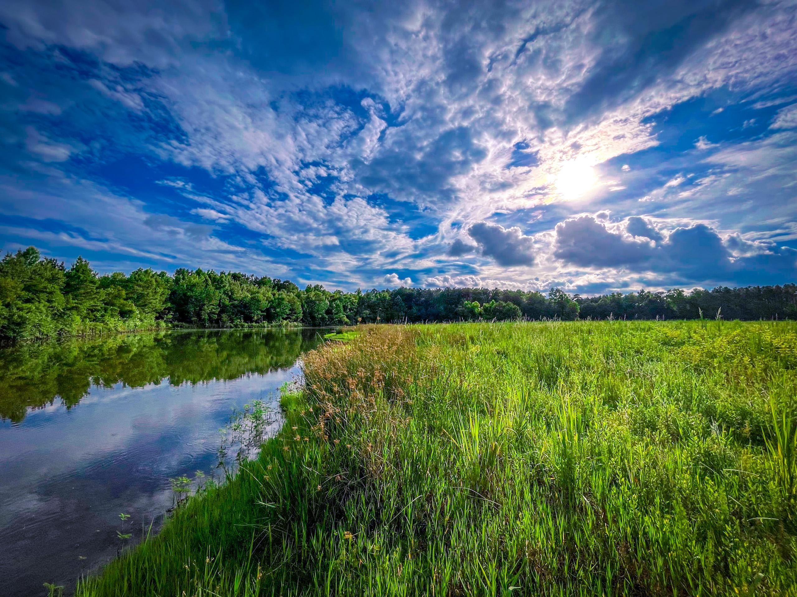 SC Highway 430, Lot#WP001, Nichols, SC 29581 | LandWatch