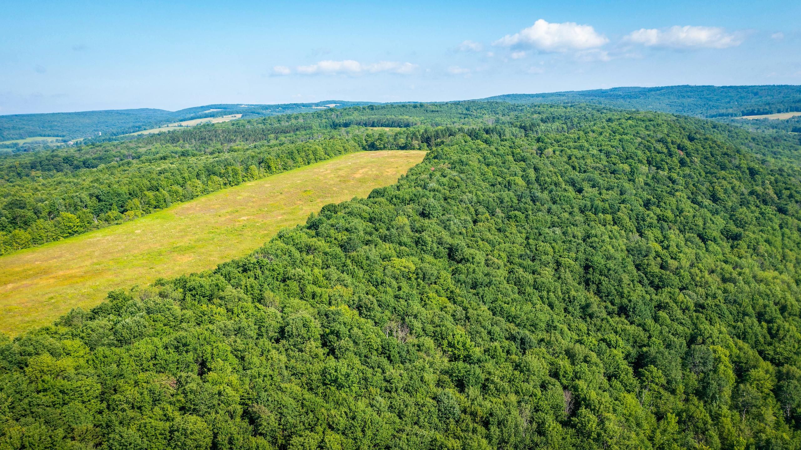 Level Green Road, Lot#WP001, Caroline, NY 13736 | LandWatch