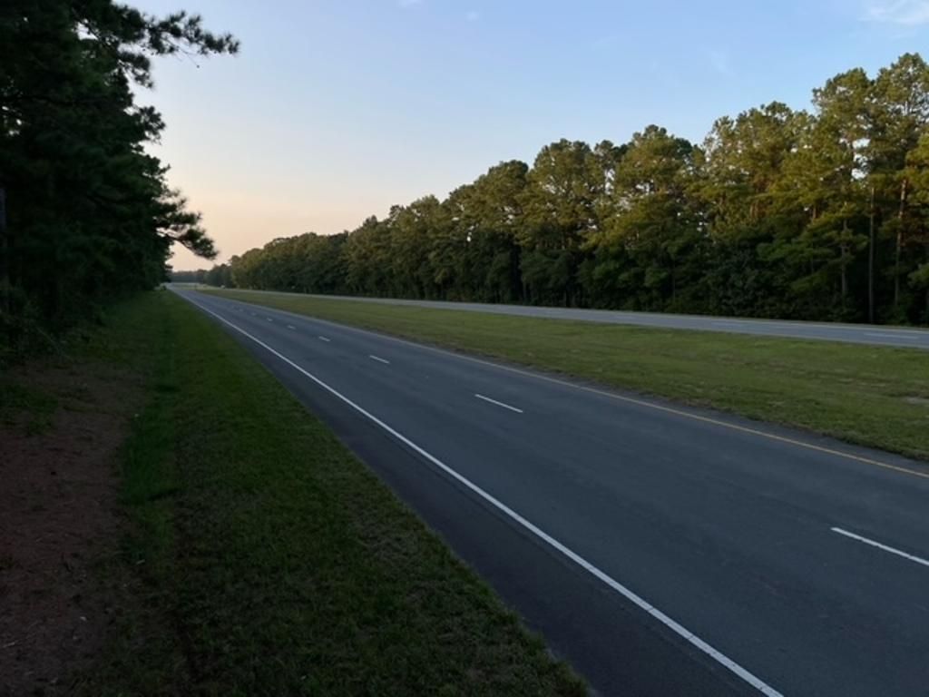 U.S. 421, Currie, NC 28435 | MLS: Culbreth 117 Acres | LandWatch