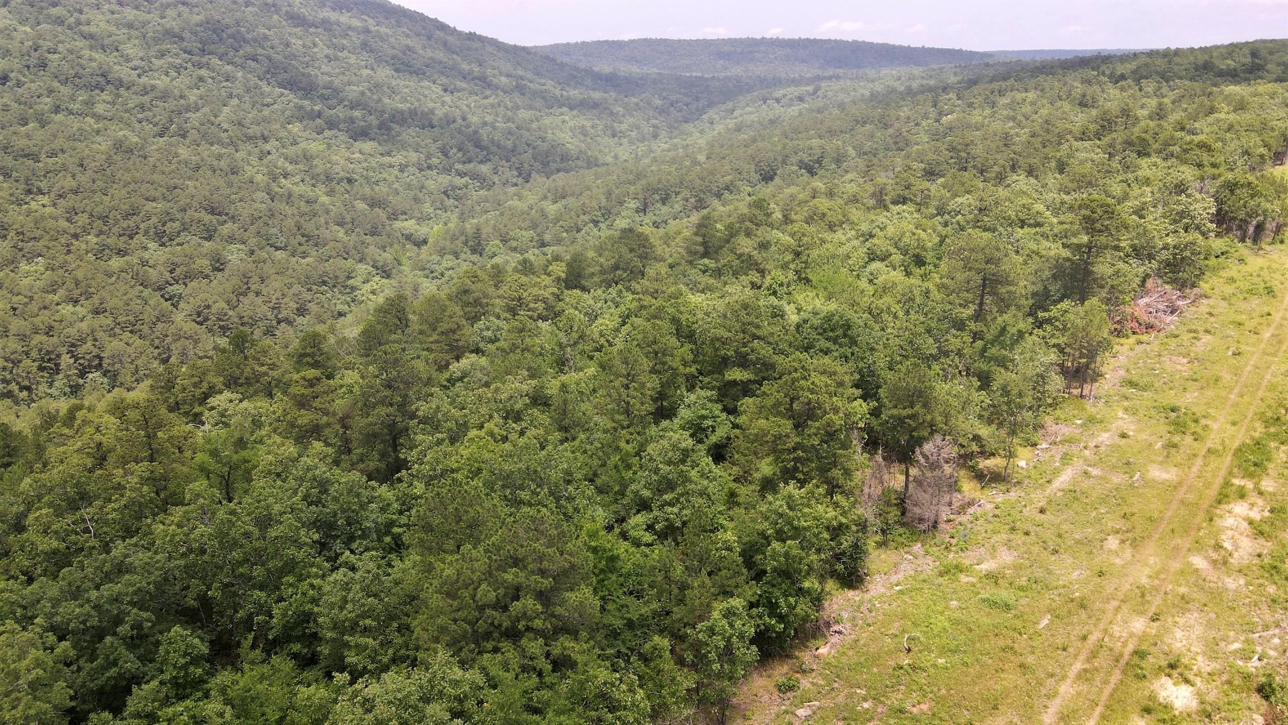 Flagpole Mountain Road, Lot#WP031, Clayton, OK 74536 | LandWatch