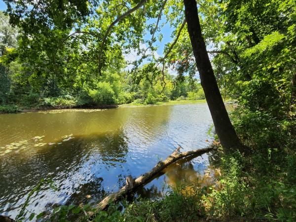 95 acres in Muse, OK, 74949 | MLS: #35018-88940 | LandWatch