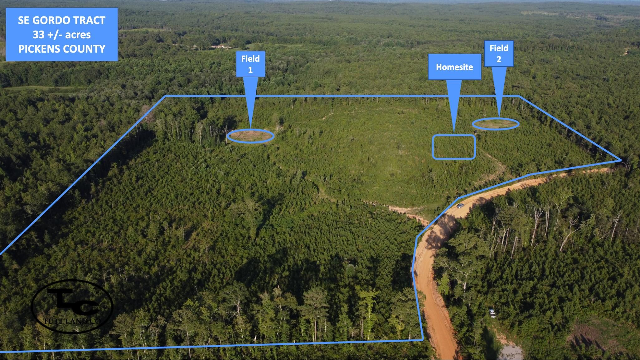 33 acres in Gordo, AL, 35466 | LandWatch