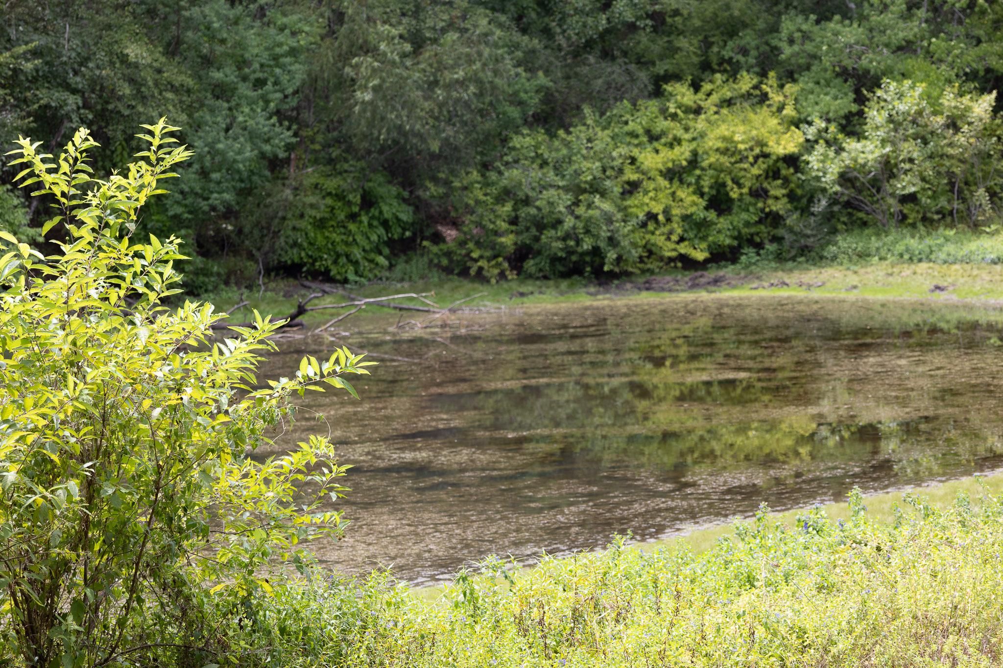 Matigwa Road, Silsbee, TX 77656 | LandWatch