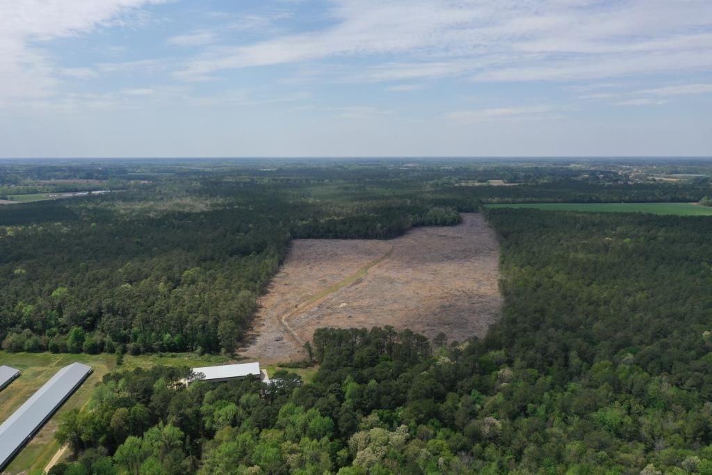 38 acres in Keener, NC, 28328 | LandWatch