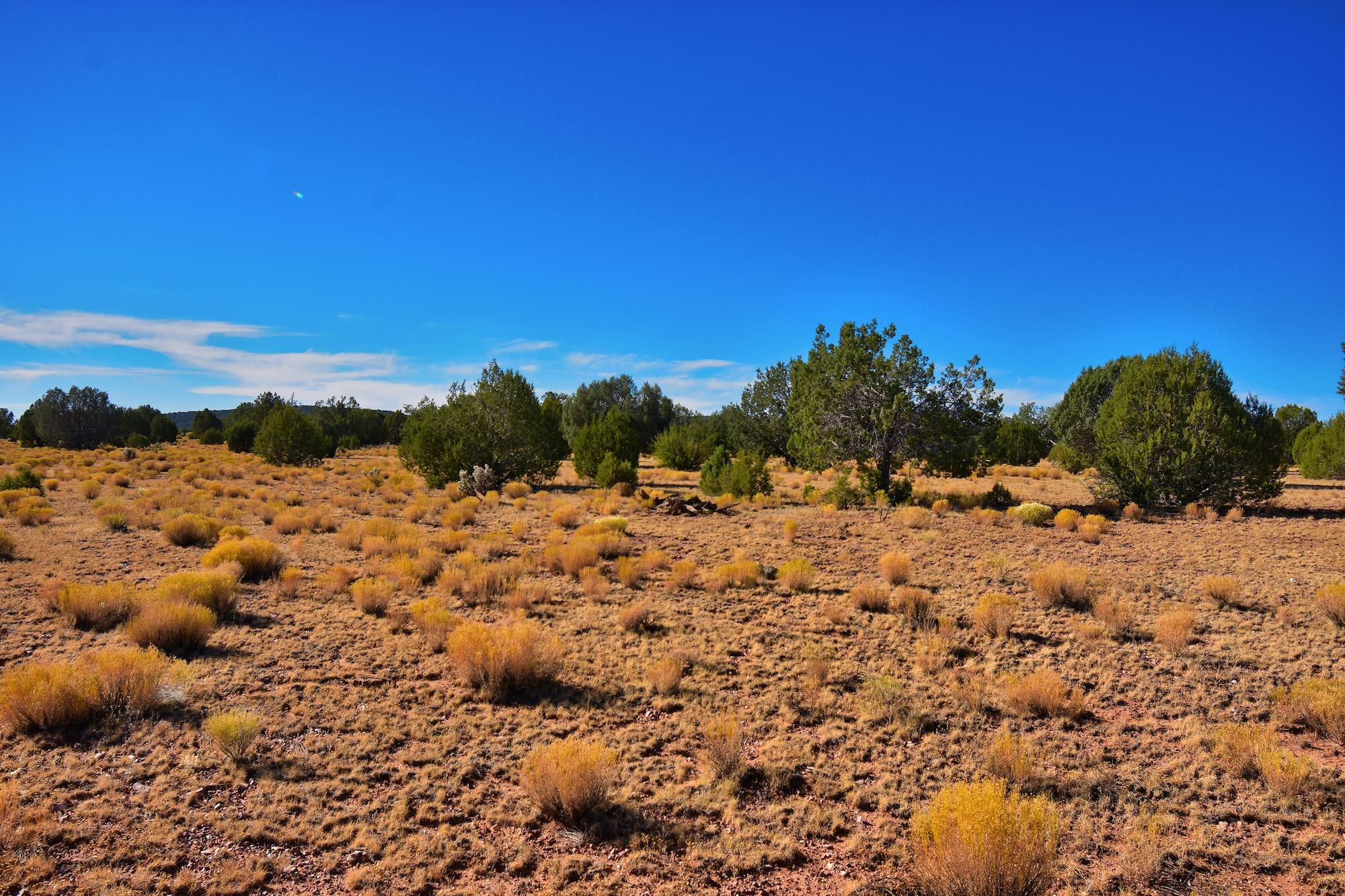 Seligman, Yavapai County, AZ Recreational Property, Undeveloped Land ...