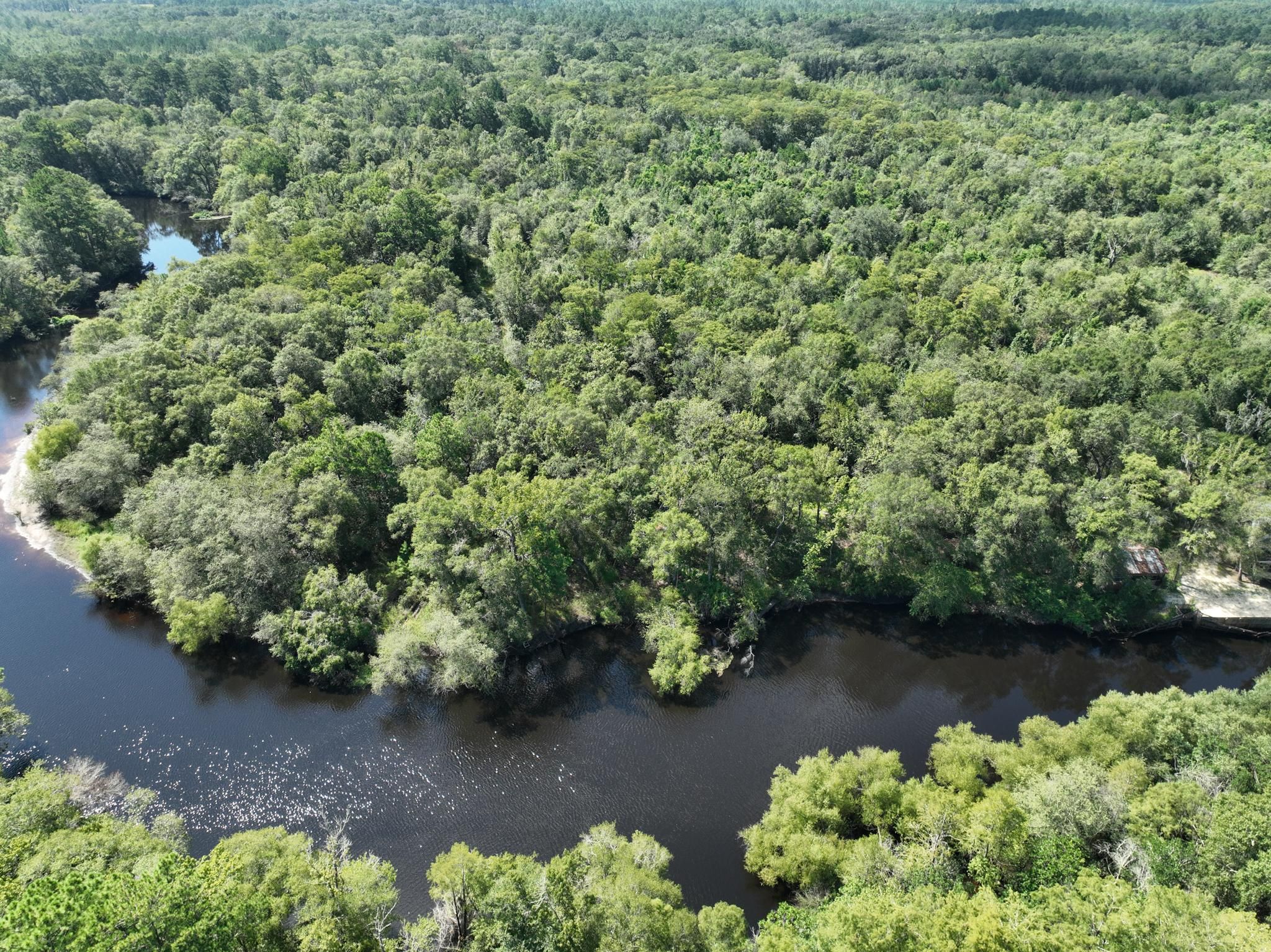 Nahunta, Brantley County, GA Recreational Property, Riverfront Property ...