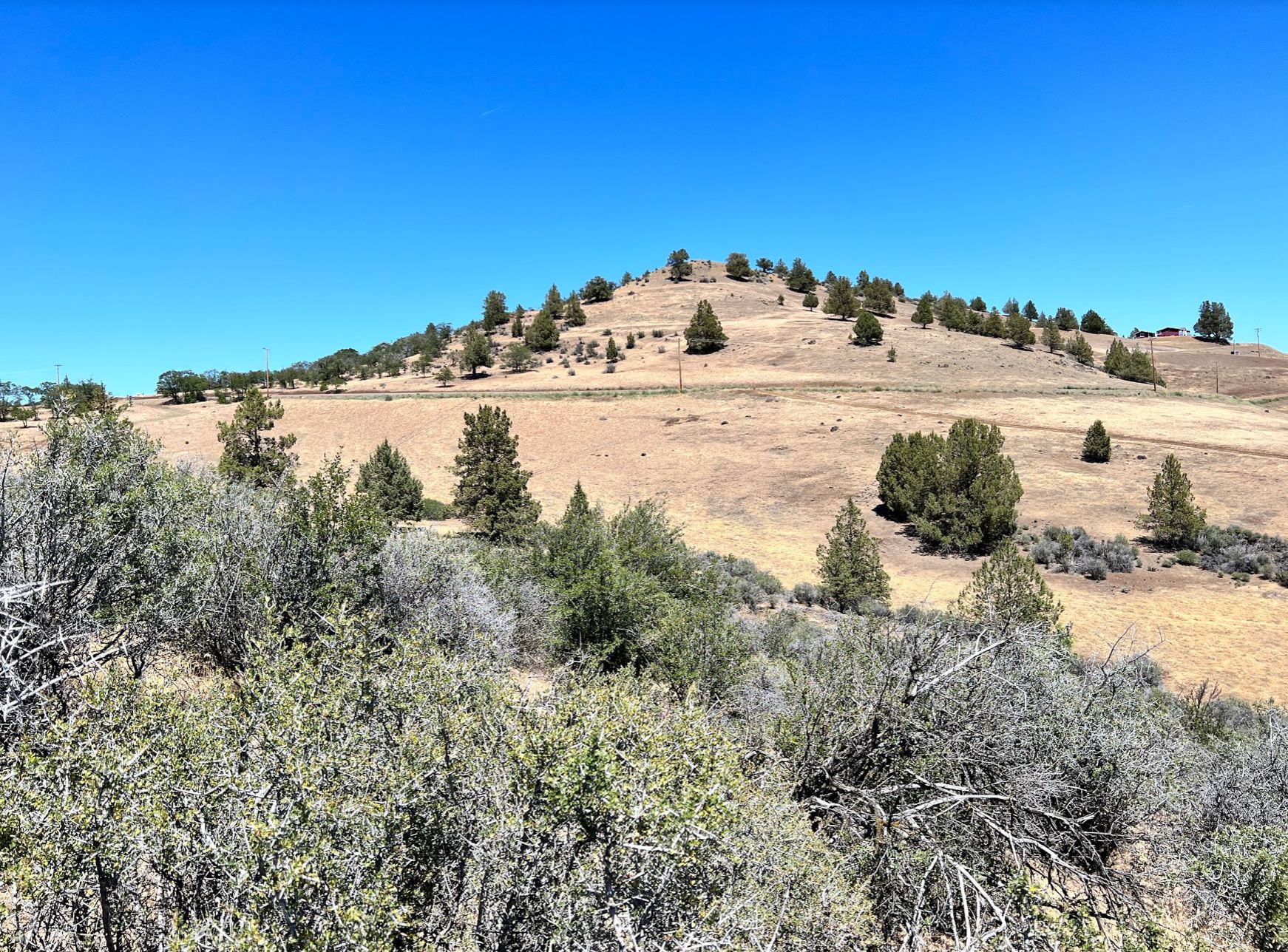 Hornbrook, Siskiyou County, CA Recreational Property, Hunting Property ...