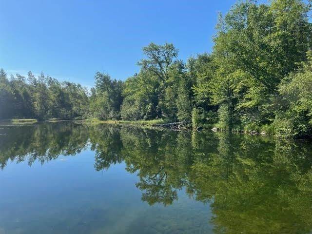 Amberg, Marinette County, WI Farms and Ranches, Lakefront Property ...