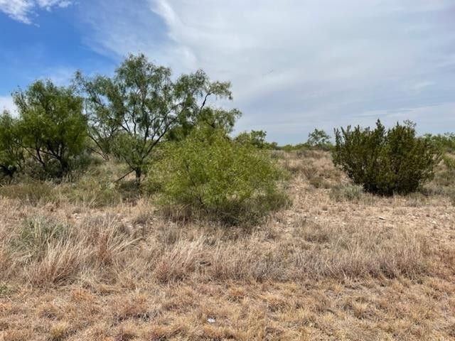 San Angelo, Tom Green County, TX Undeveloped Land for sale Property ID ...