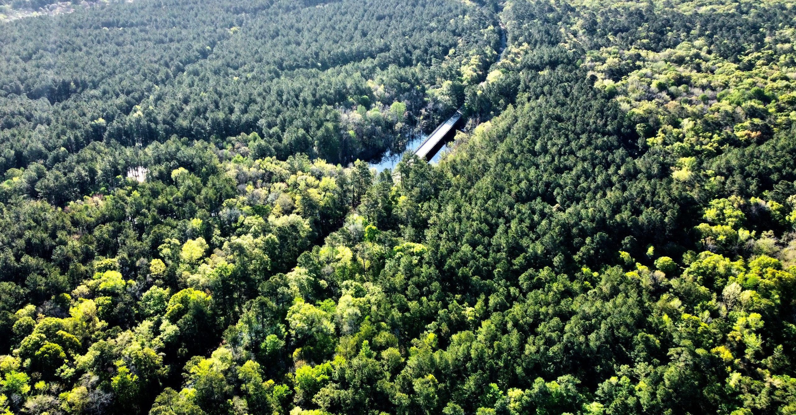 Colleton County, South Carolina, Walterboro, SC 29488 | LandWatch