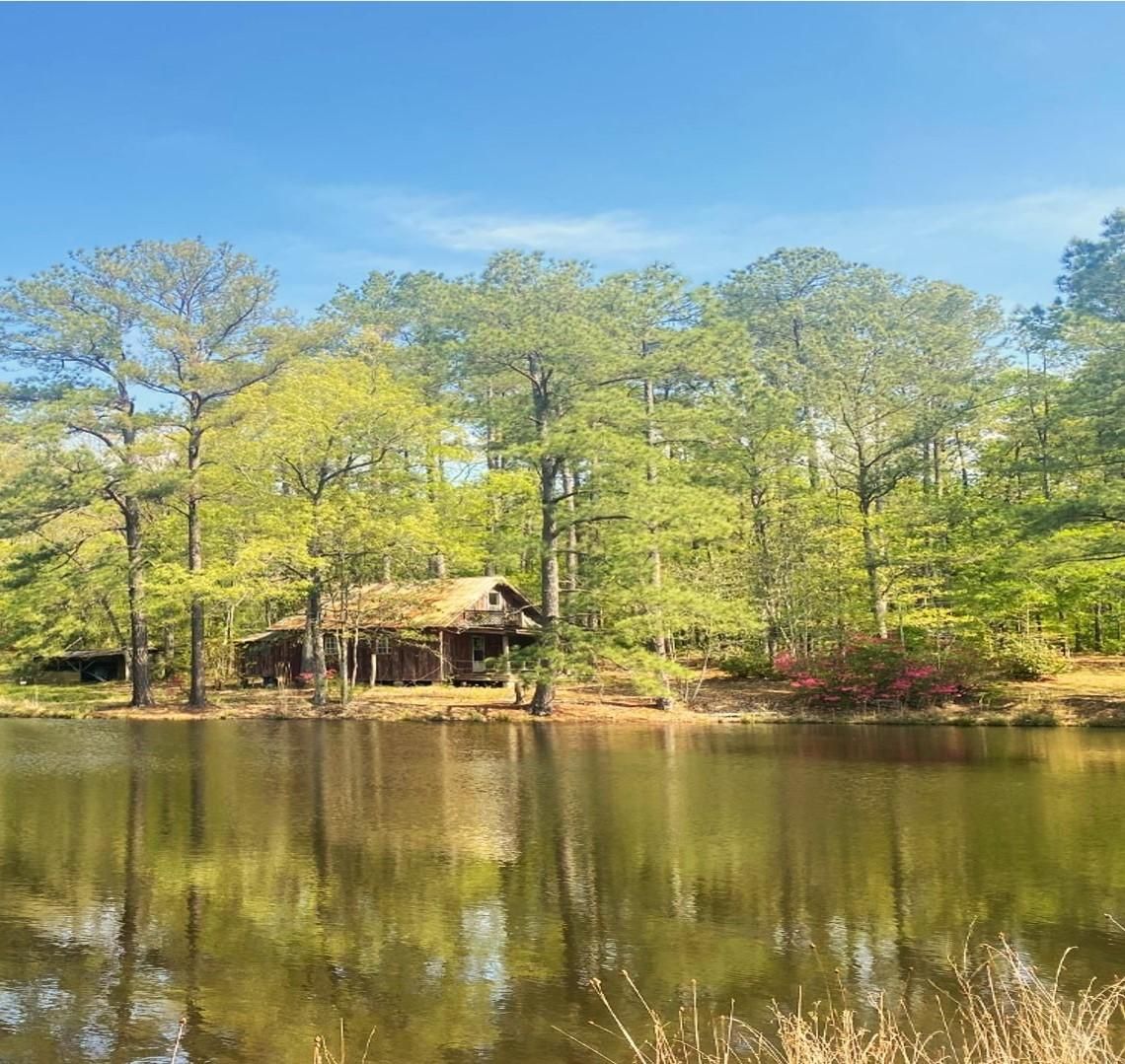 217 acres in Sylvarena, MS, 39153 | LandWatch