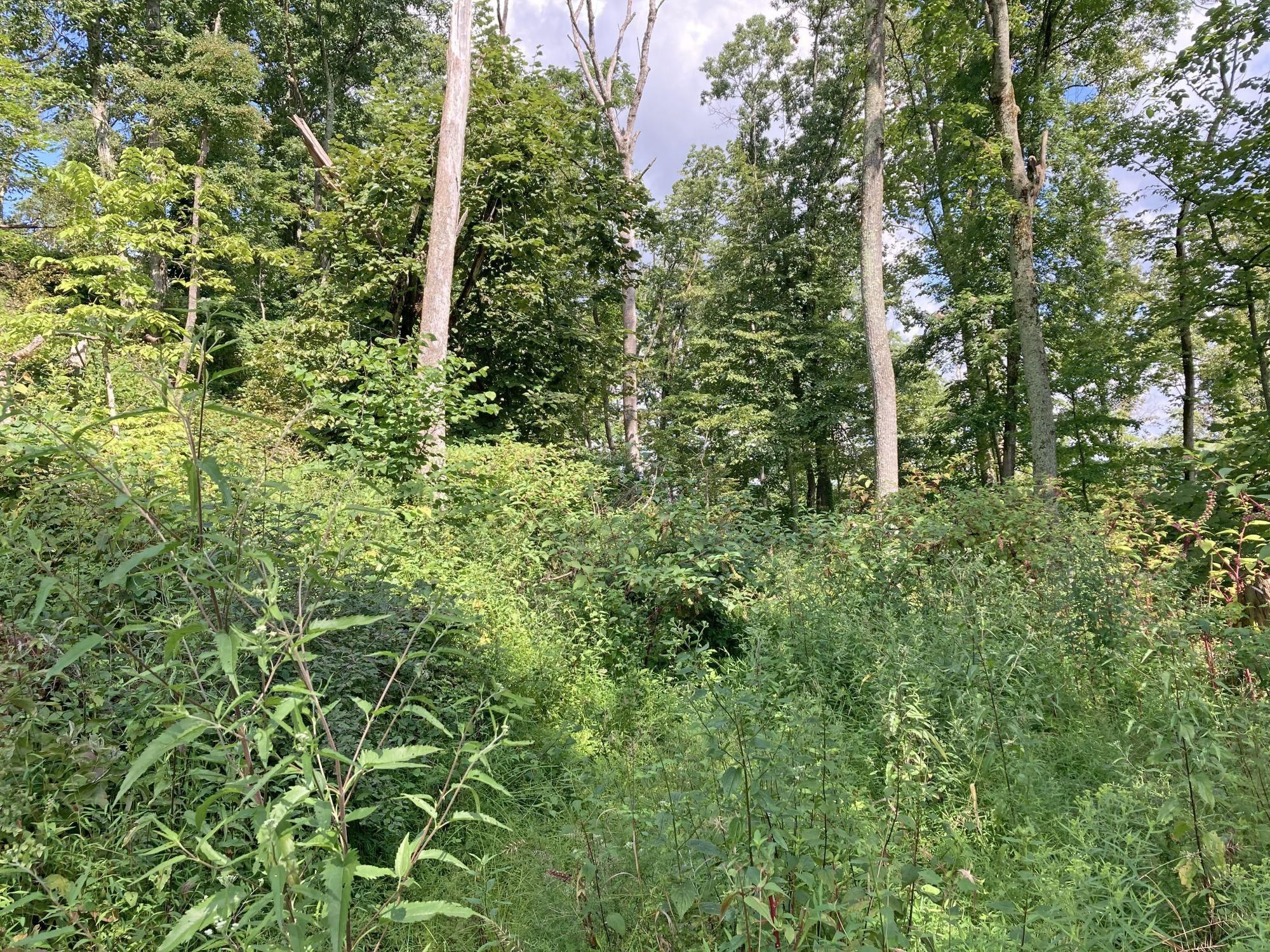 Broad Run, Center Point, WV 26339 | LandWatch