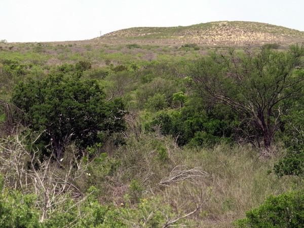 Comstock, Val Verde County, TX Farms and Ranches, Recreational Property ...