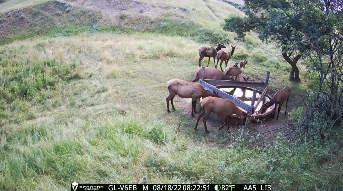 Sonnette Rd, Sonnette, MT 59713 | MLS: 329112 | LandWatch