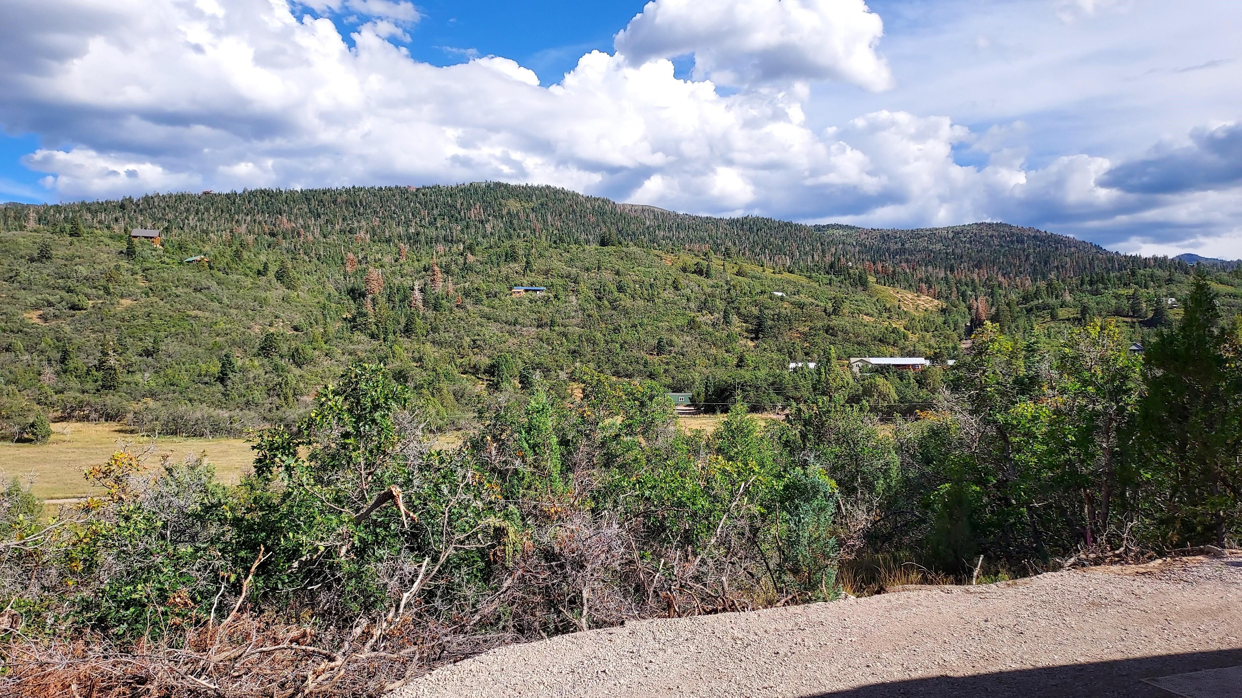 131 Oak Ridge Drive, Mount Pleasant, UT 84647 | MLS: 1838174 | LandWatch