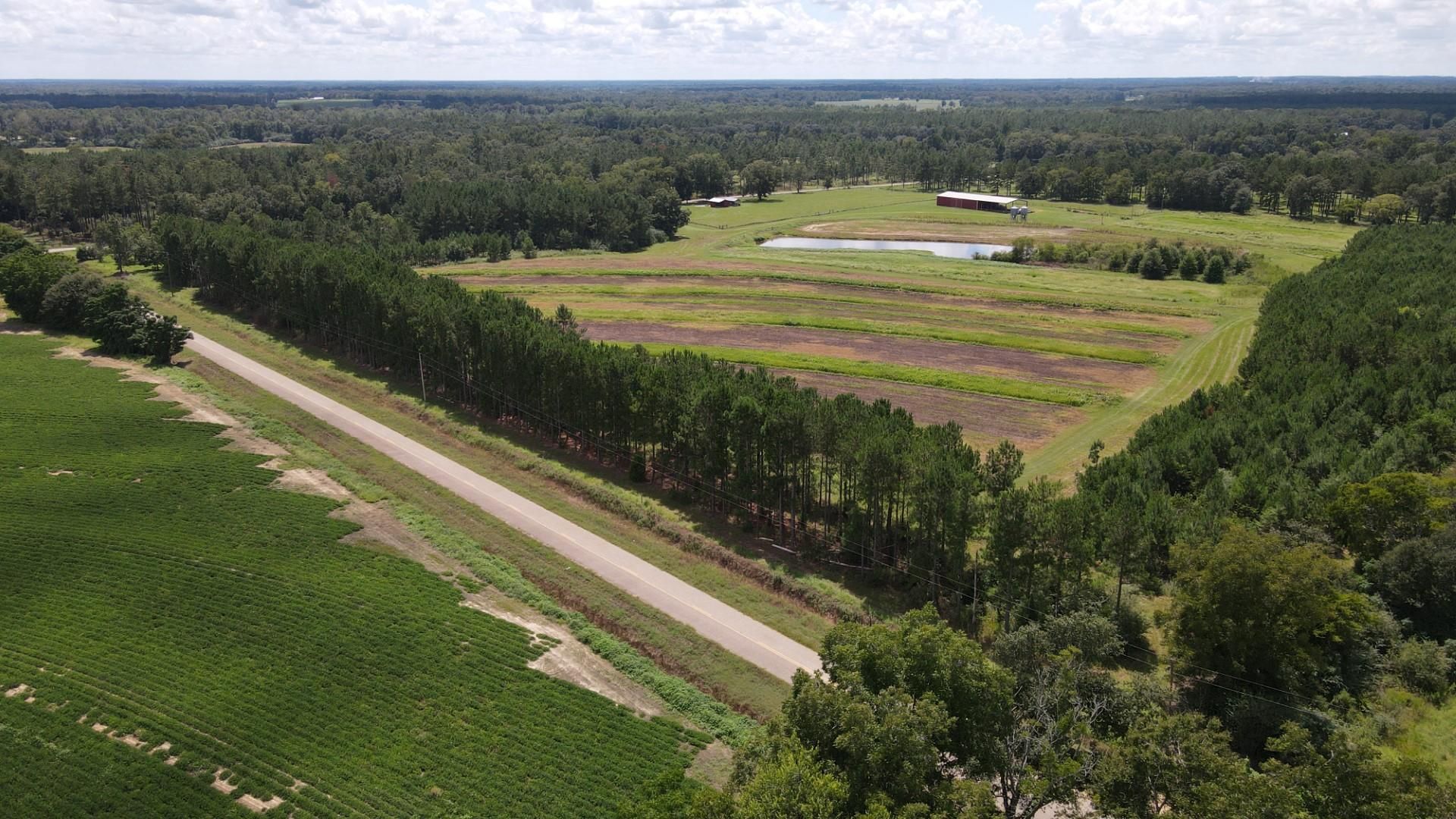 0 Harvey Hicks Road, Pansey, AL 36370 | LandWatch