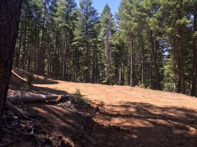 1390 Hay Gulch Rd, Trinity Center, CA 96091 | LandWatch