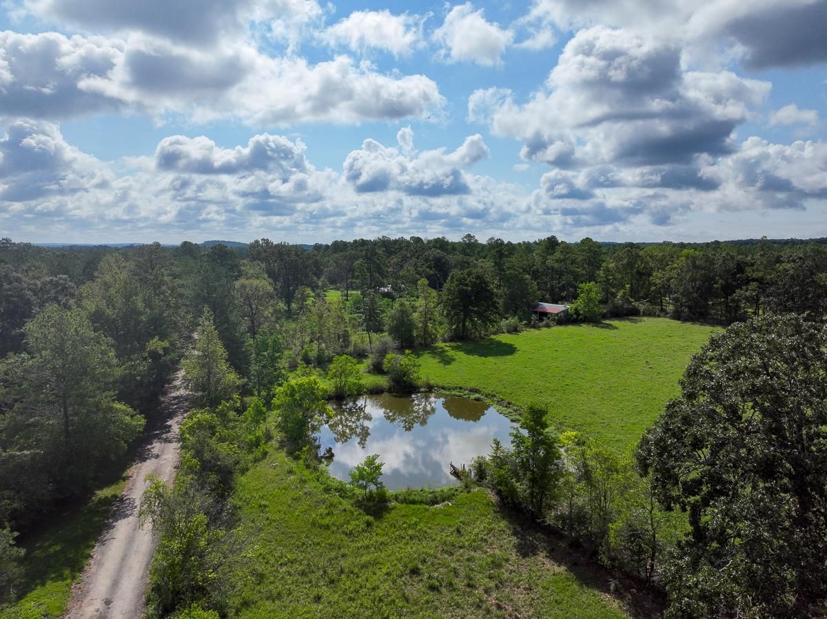 126 acres in Colmesneil, TX, 75938 | LandWatch