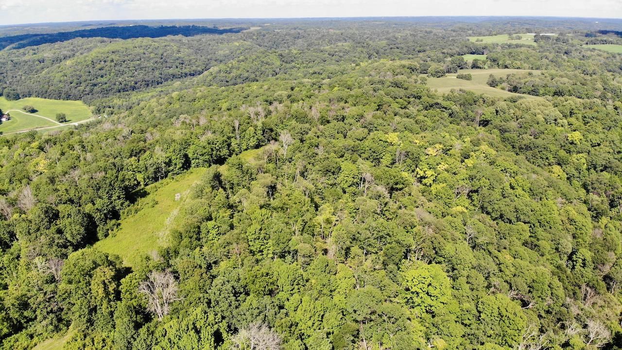 Taylor Hollow Road, Blue River, WI 53518 | LandWatch