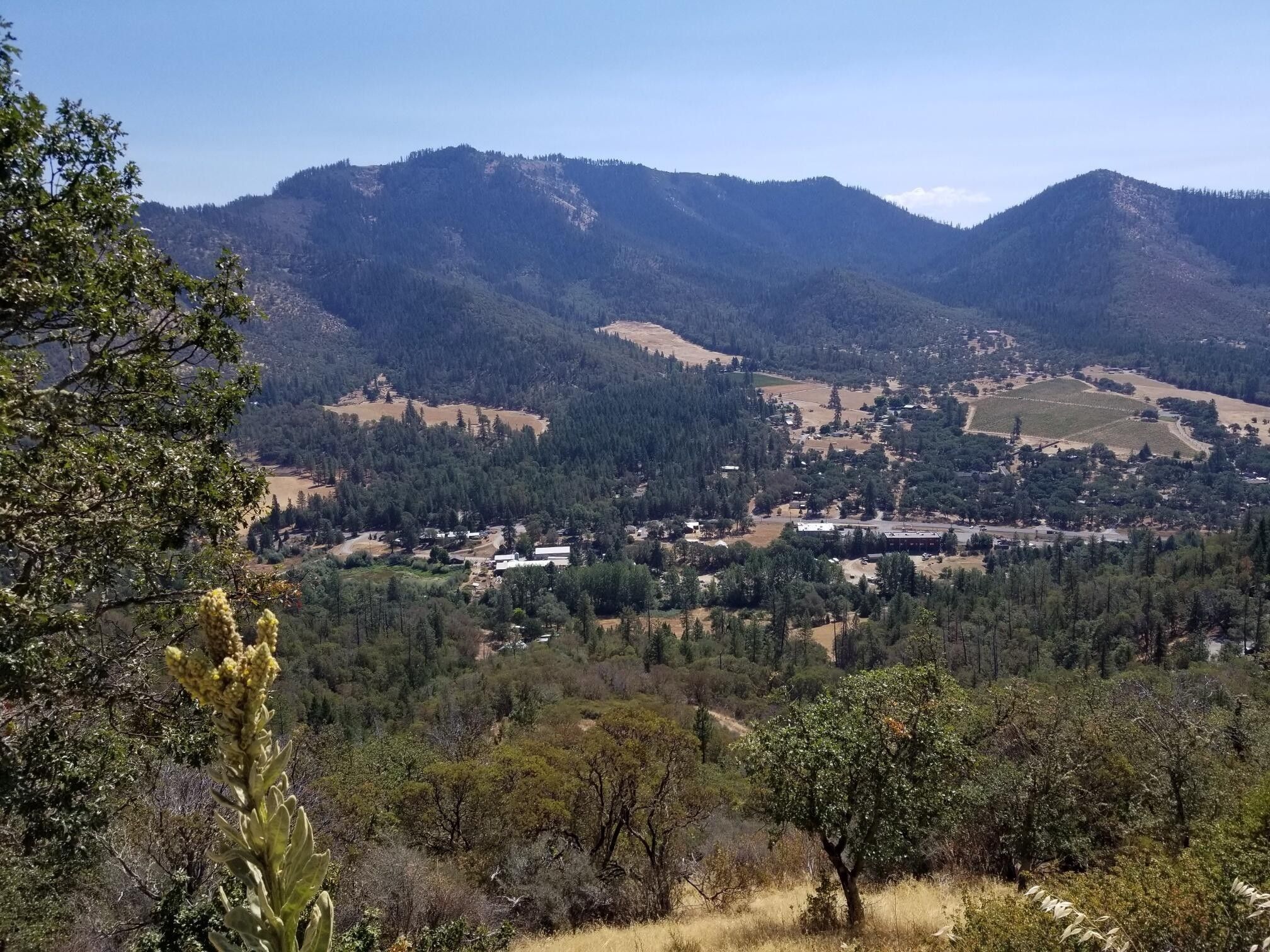 Jacksonville, Jackson County, OR Undeveloped Land for sale Property ID ...