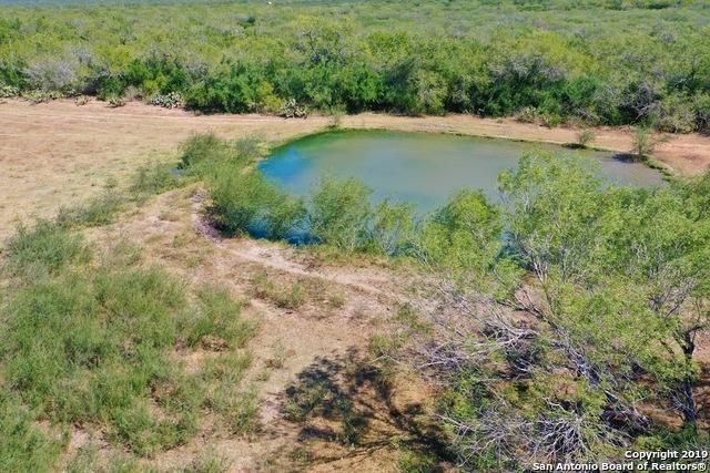 Benavides, Duval County, TX Farms and Ranches, Recreational Property ...