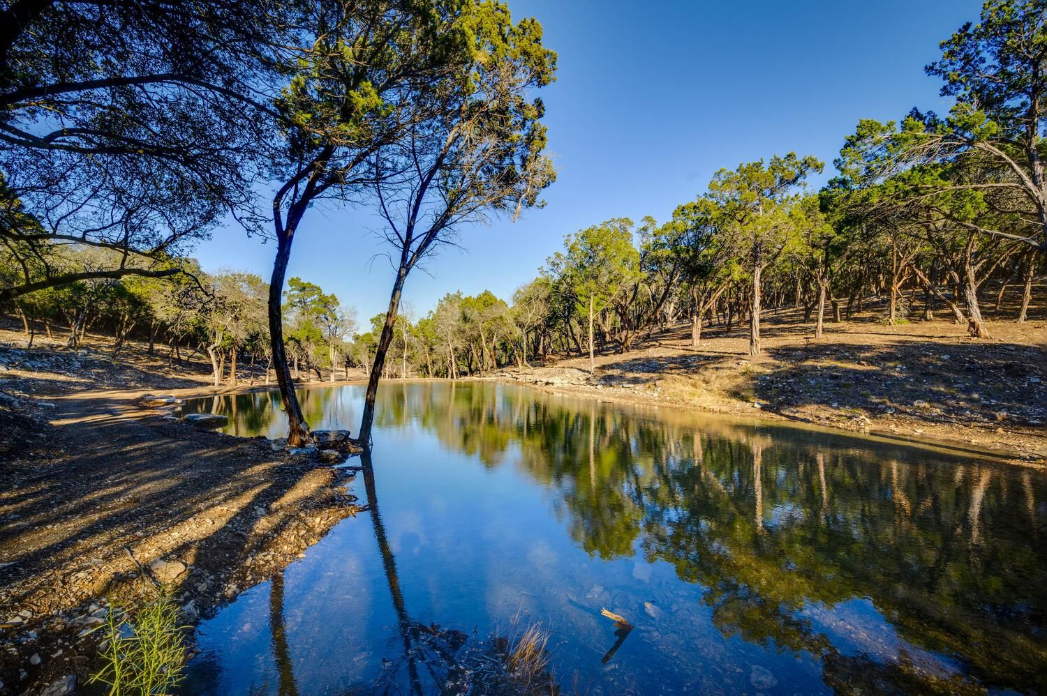 Fischer, Comal County, TX Farms and Ranches, Horse Property for sale ...