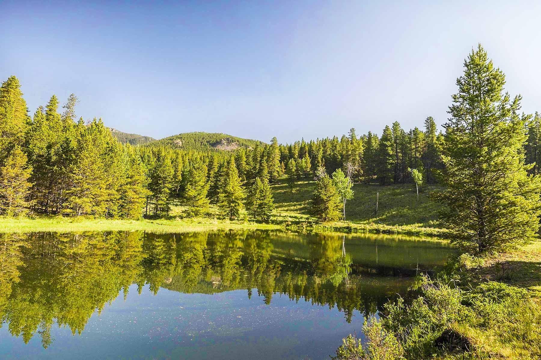 Pine CO, Pine, CO 80470 | LandWatch