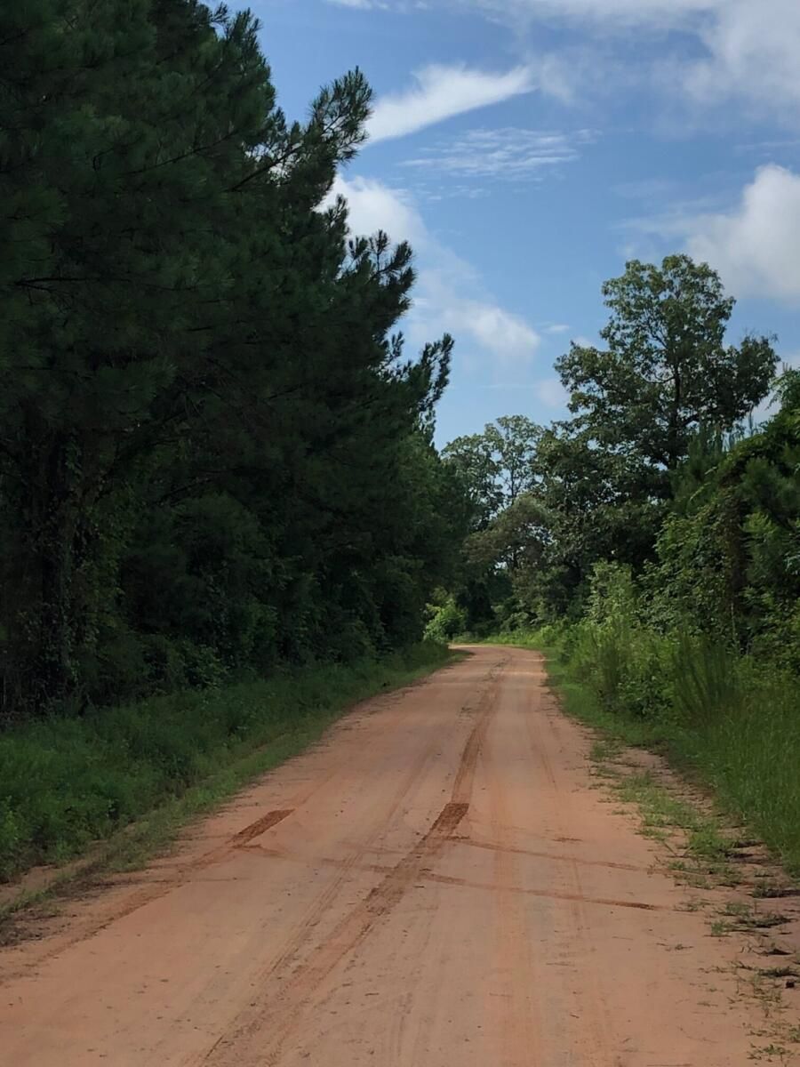 Wilkinson County, Georgia, Toomsboro, GA 31090 | LandWatch