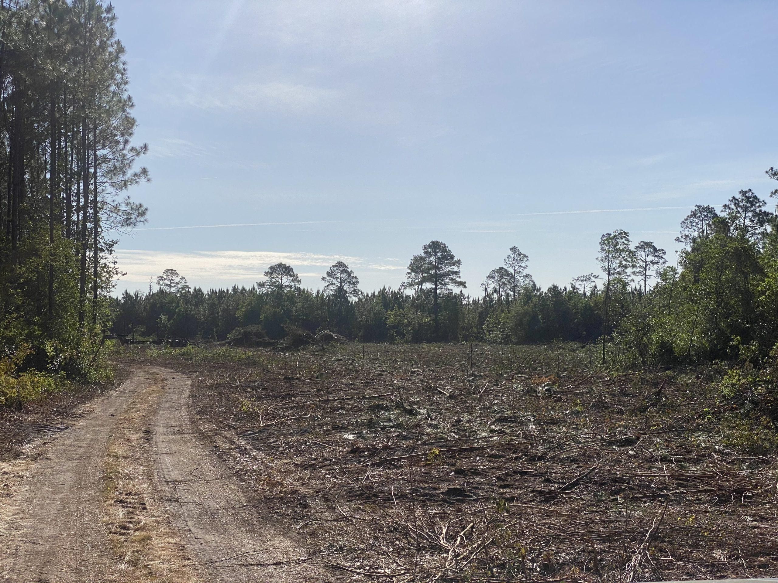 Clinch County, Georgia, Homerville, GA 31634 | LandWatch