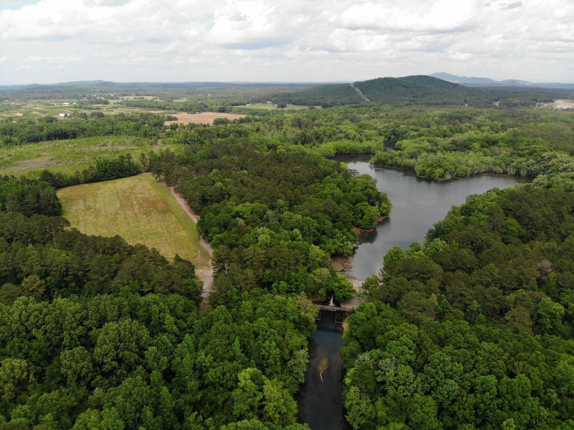 346 acres in Alpine, AL, | LandWatch