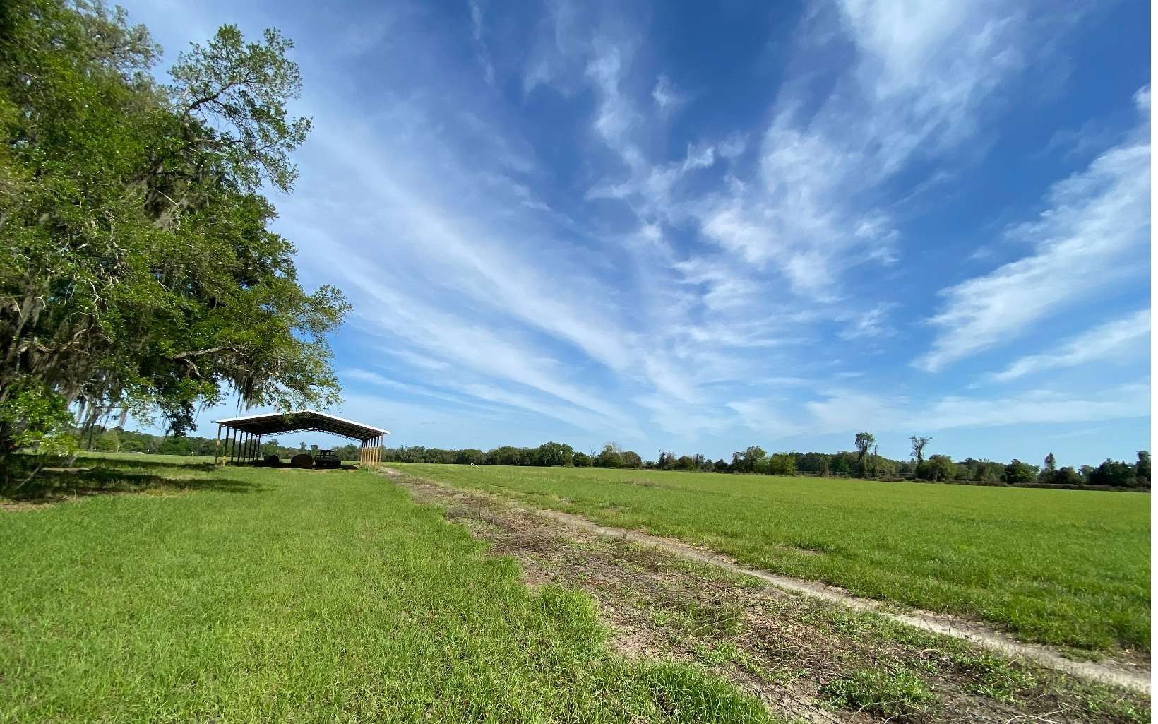 Alachua, Alachua County, FL Farms and Ranches for sale Property ID ...