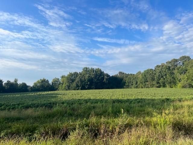 Mount Hope, Lawrence County, AL Farms and Ranches, Undeveloped Land for ...