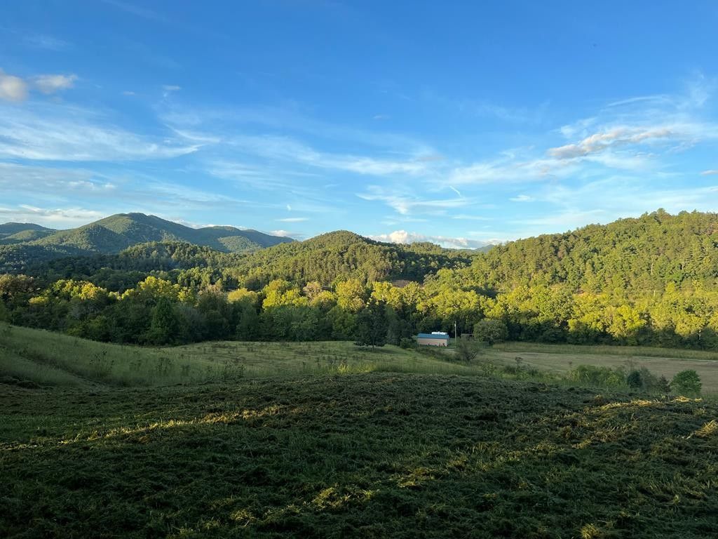 Del Rio, Cocke County, TN Undeveloped Land, Homesites for sale Property ...