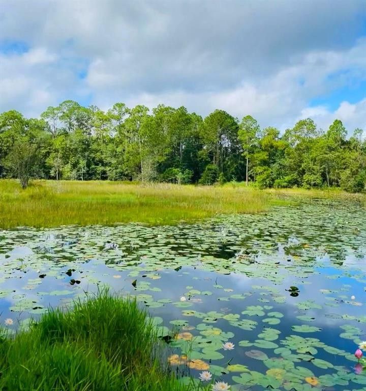 Citra, Marion County, FL Farms and Ranches, Lakefront Property ...