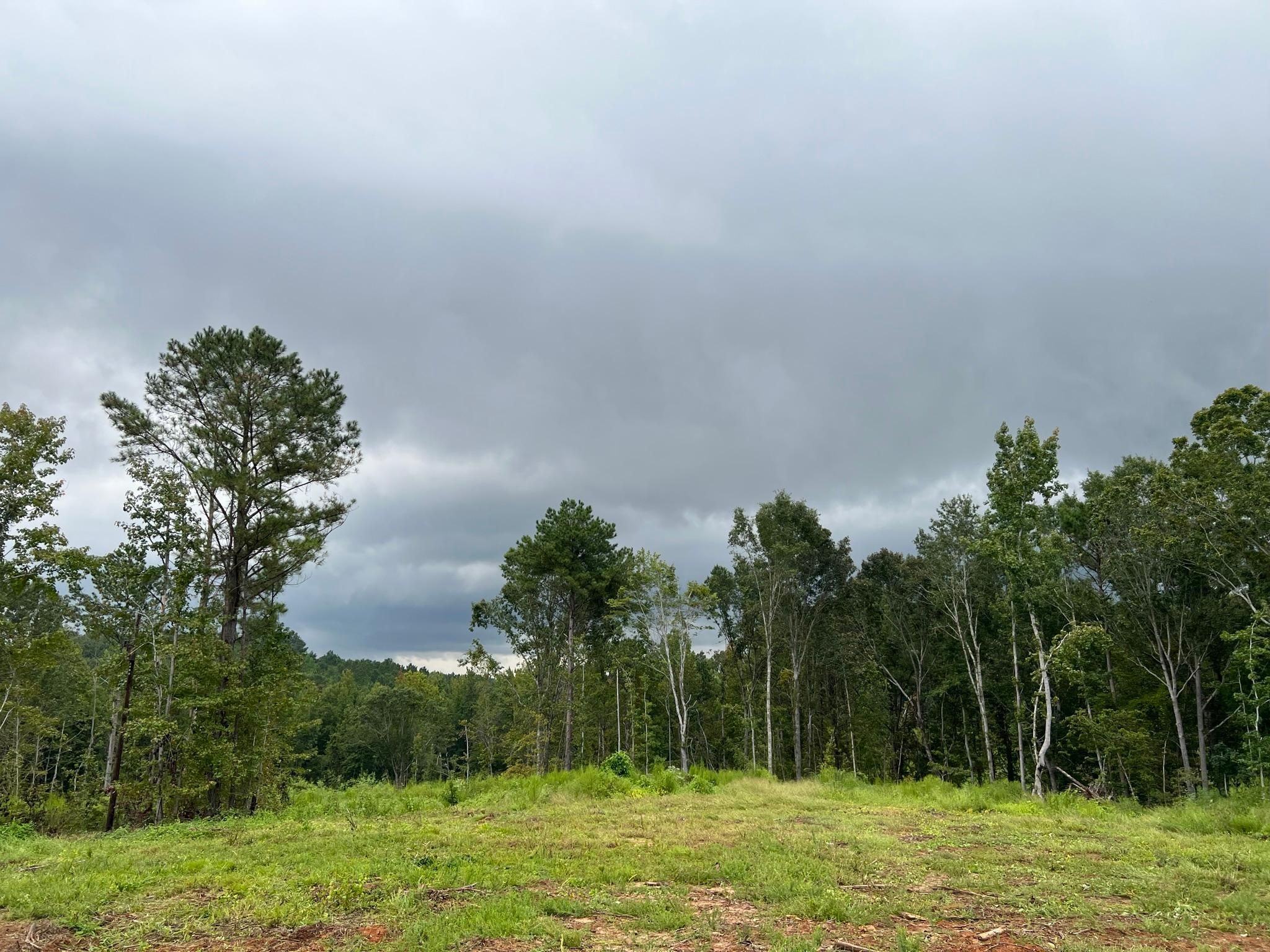 28 acres in Demopolis, AL, 36732 | LandWatch