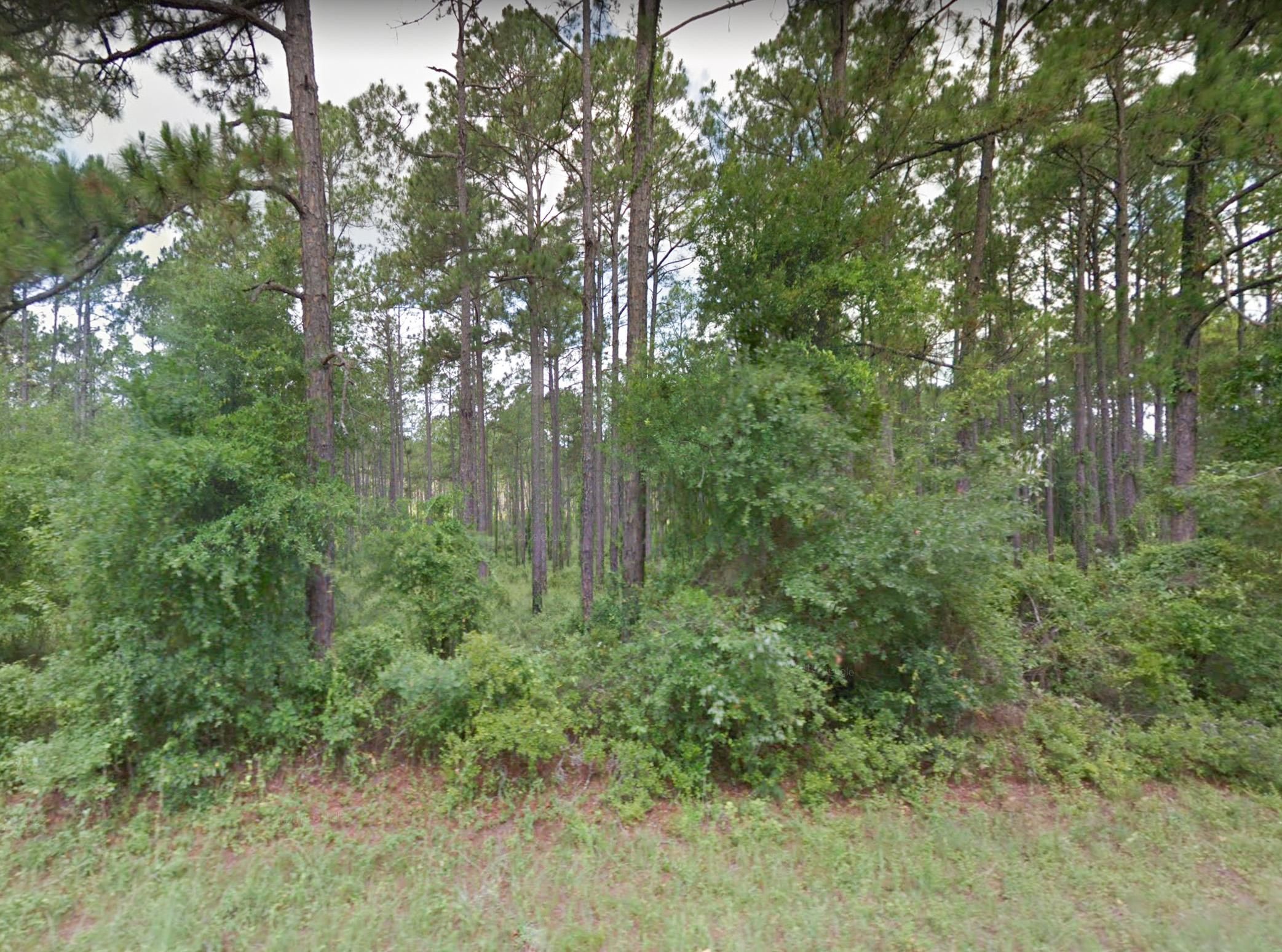 Madison, Madison County, FL Farms and Ranches, Recreational Property ...
