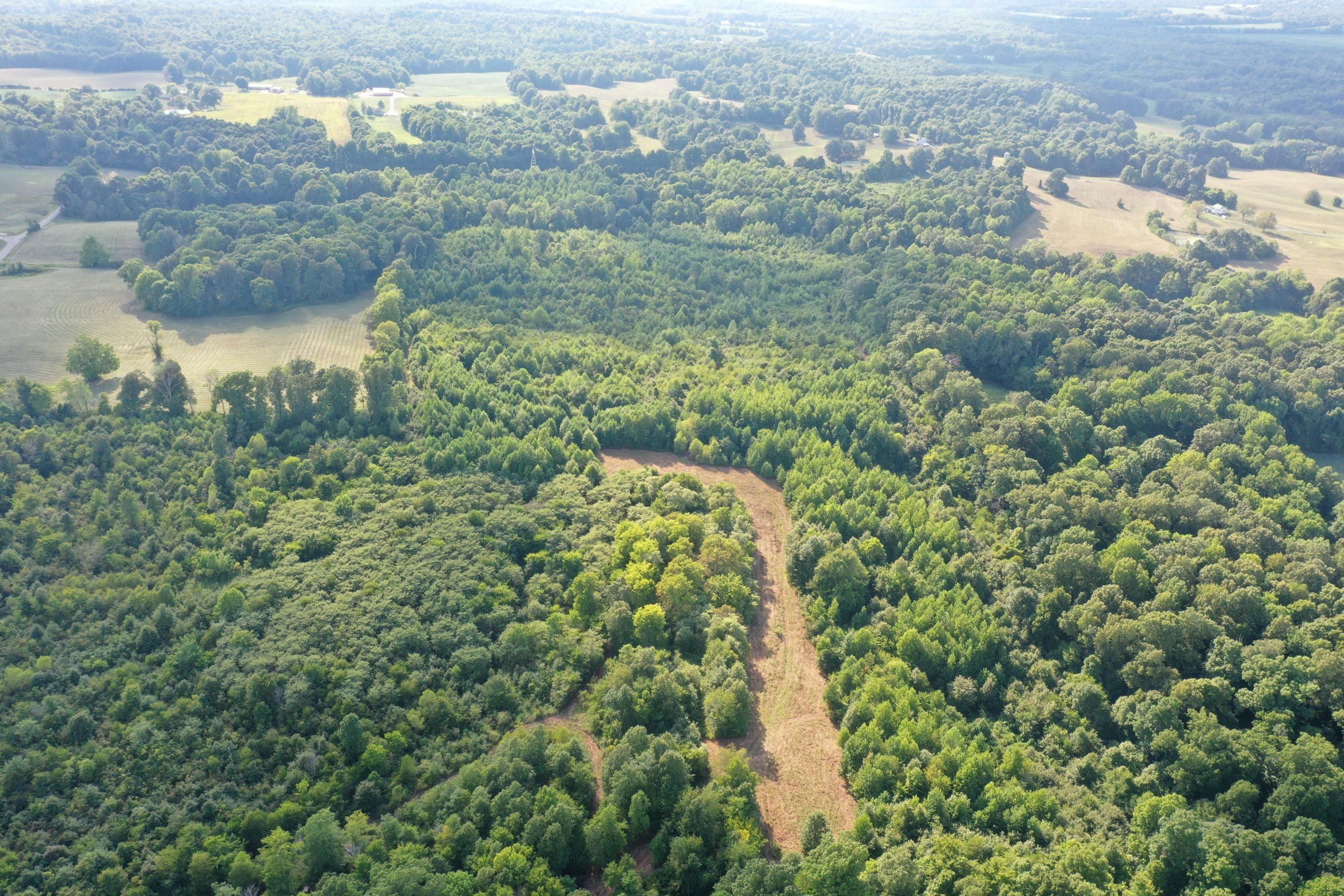 115 CR 1039, Cunningham, KY 42035 | MLS: The Clyde Cissel Farm | LandWatch