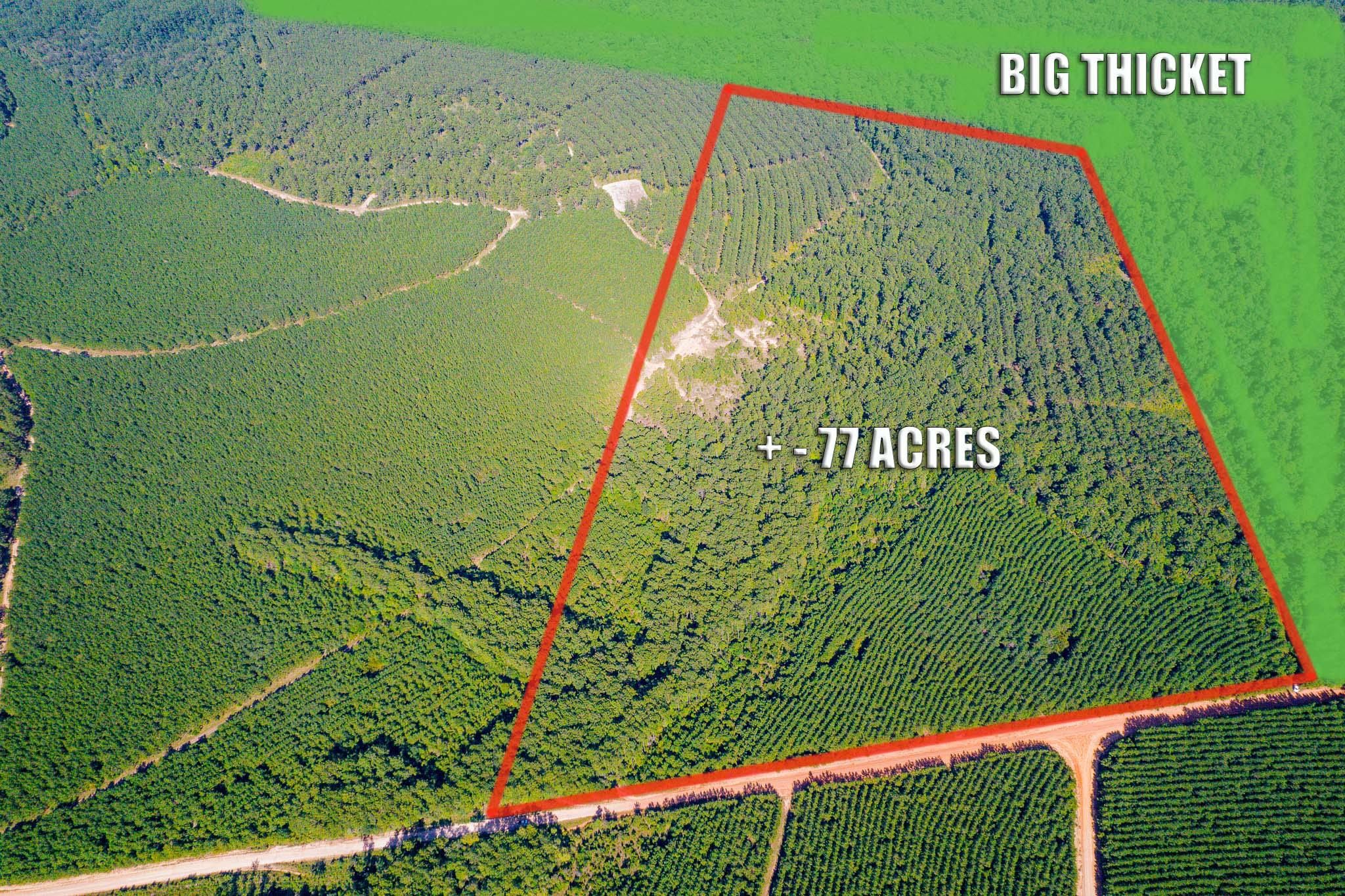 North Segno Fire Lane, Segno, TX 77351 | LandWatch