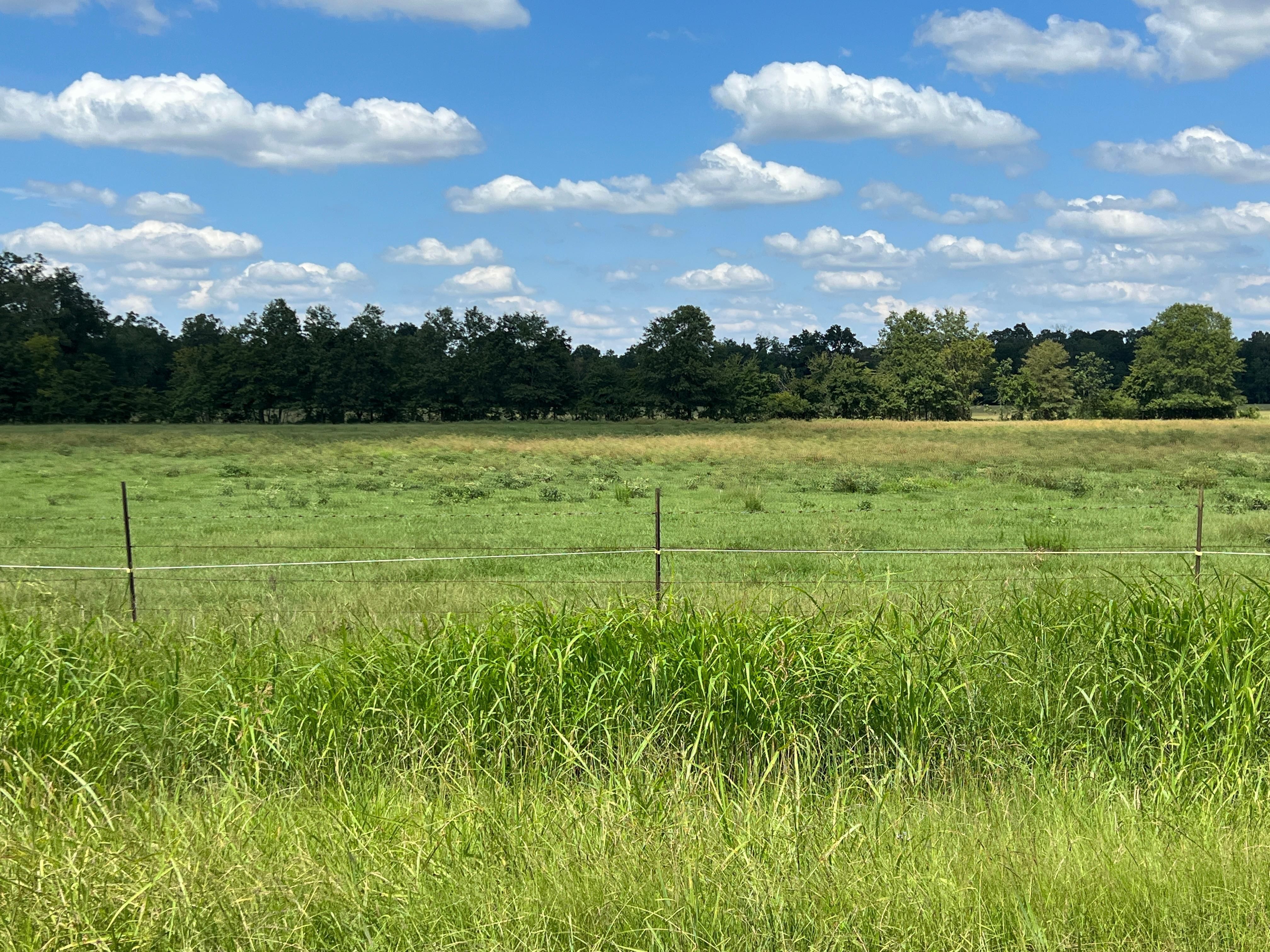Crowville, Franklin Parish, LA Recreational Property, Undeveloped Land ...