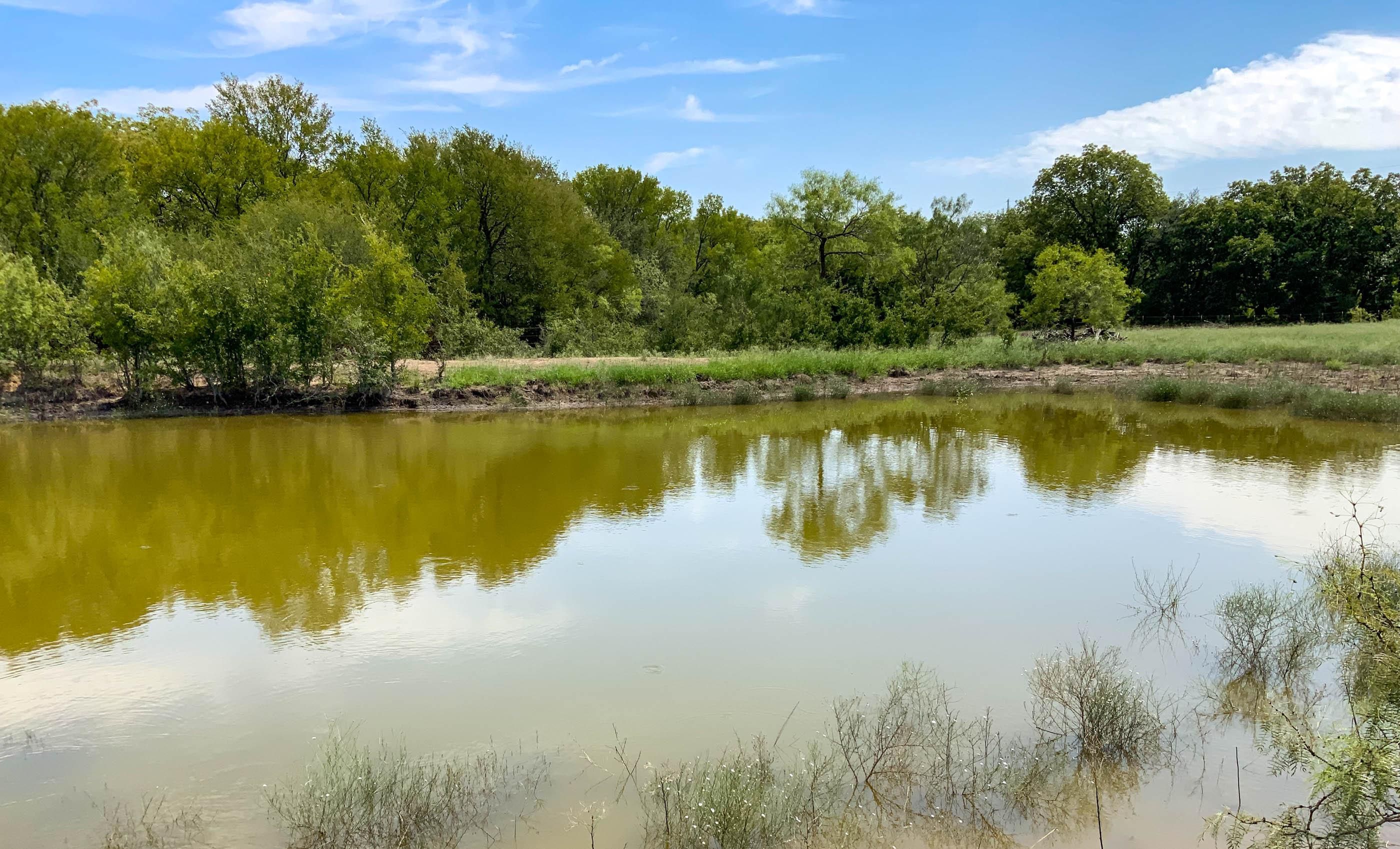 Gustine, Comanche County, TX Farms and Ranches, Recreational Property ...